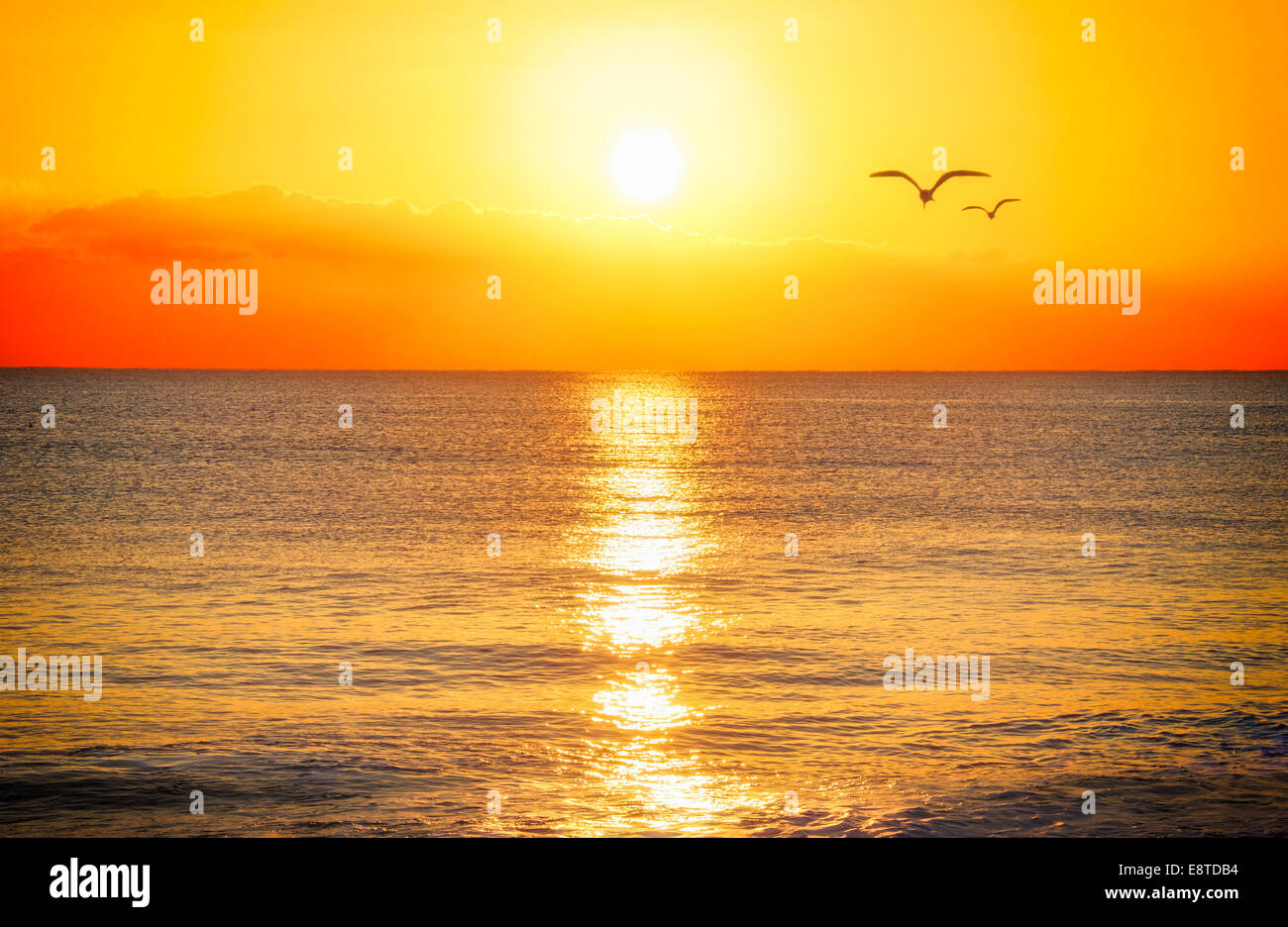 Sunset over the sea Stock Photo - Alamy