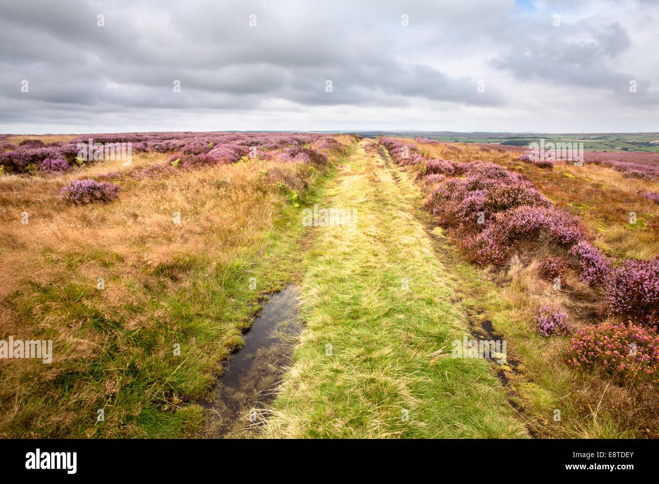 British moors storm hi-res stock photography and images - Alamy