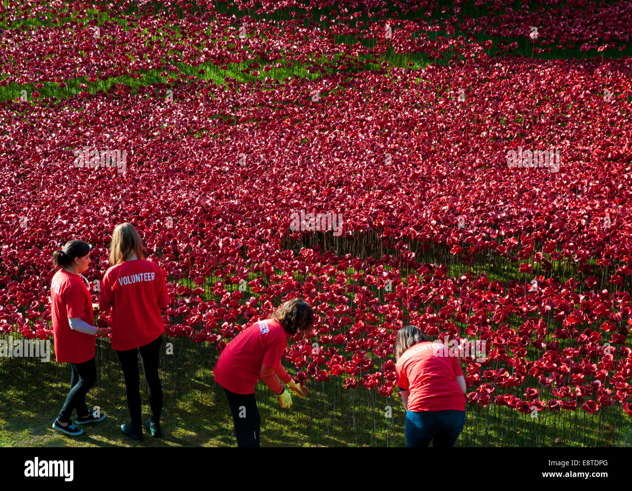 Tower of London Remembers poppy installation Stock Photo - Alamy