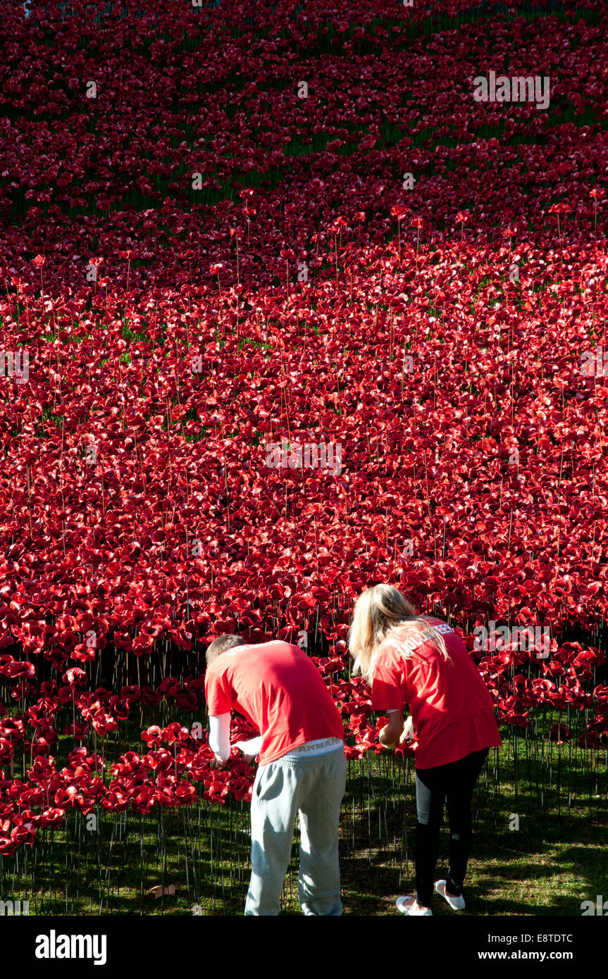 Tower of London Remembers poppy installation Stock Photo - Alamy