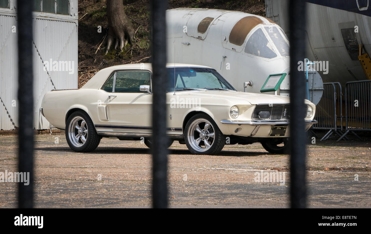 White mustang hi-res stock photography and images - Alamy