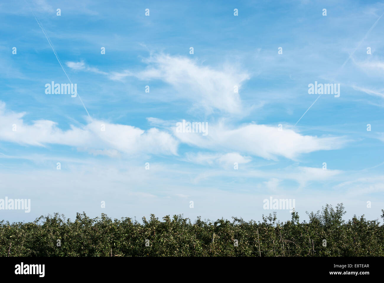 White airplane with blue stripes hi-res stock photography and images ...