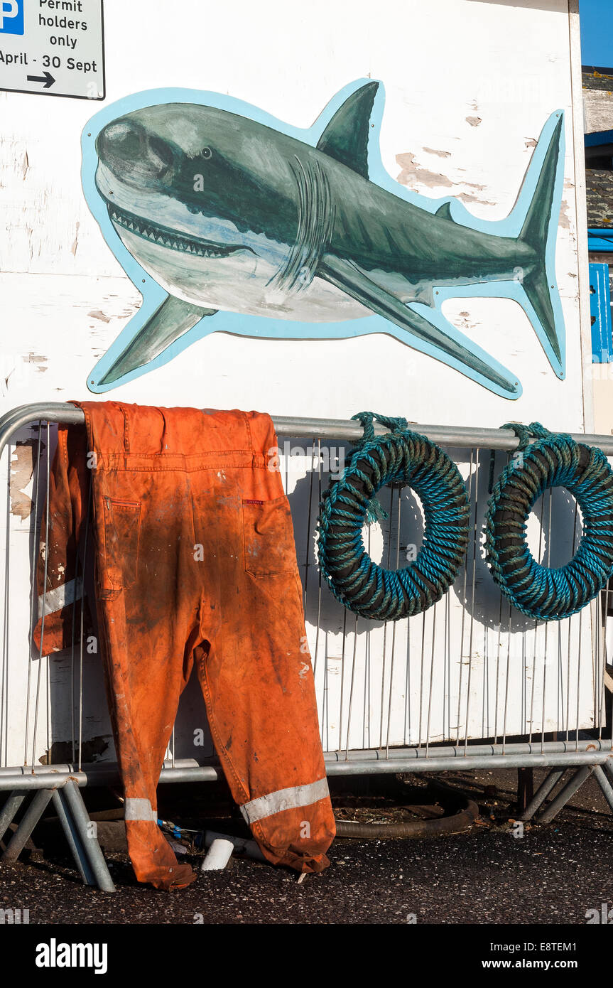 shark attack,shark, sign, surf, fish, sharp, vector, big, surface ...