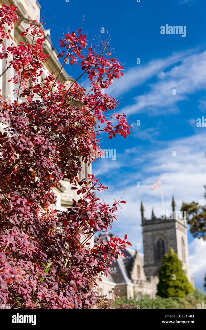 Blue sky red leaves hi-res stock photography and images - Alamy