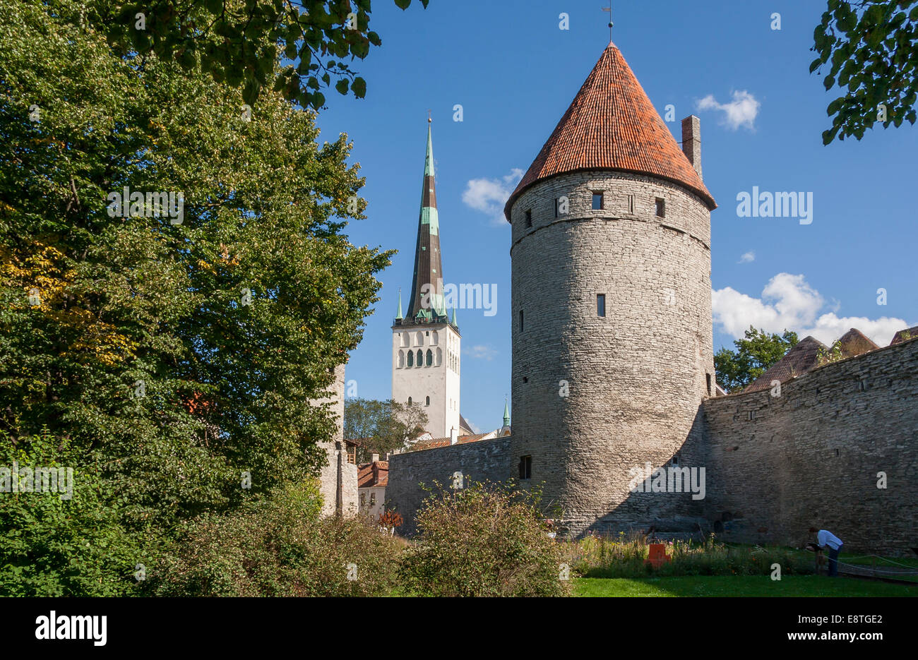 Medieval town tallinn hi-res stock photography and images - Alamy