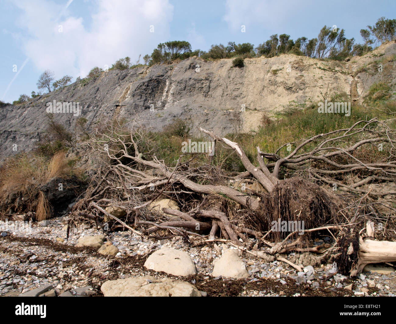 Lyme regis cliffs hi-res stock photography and images - Alamy