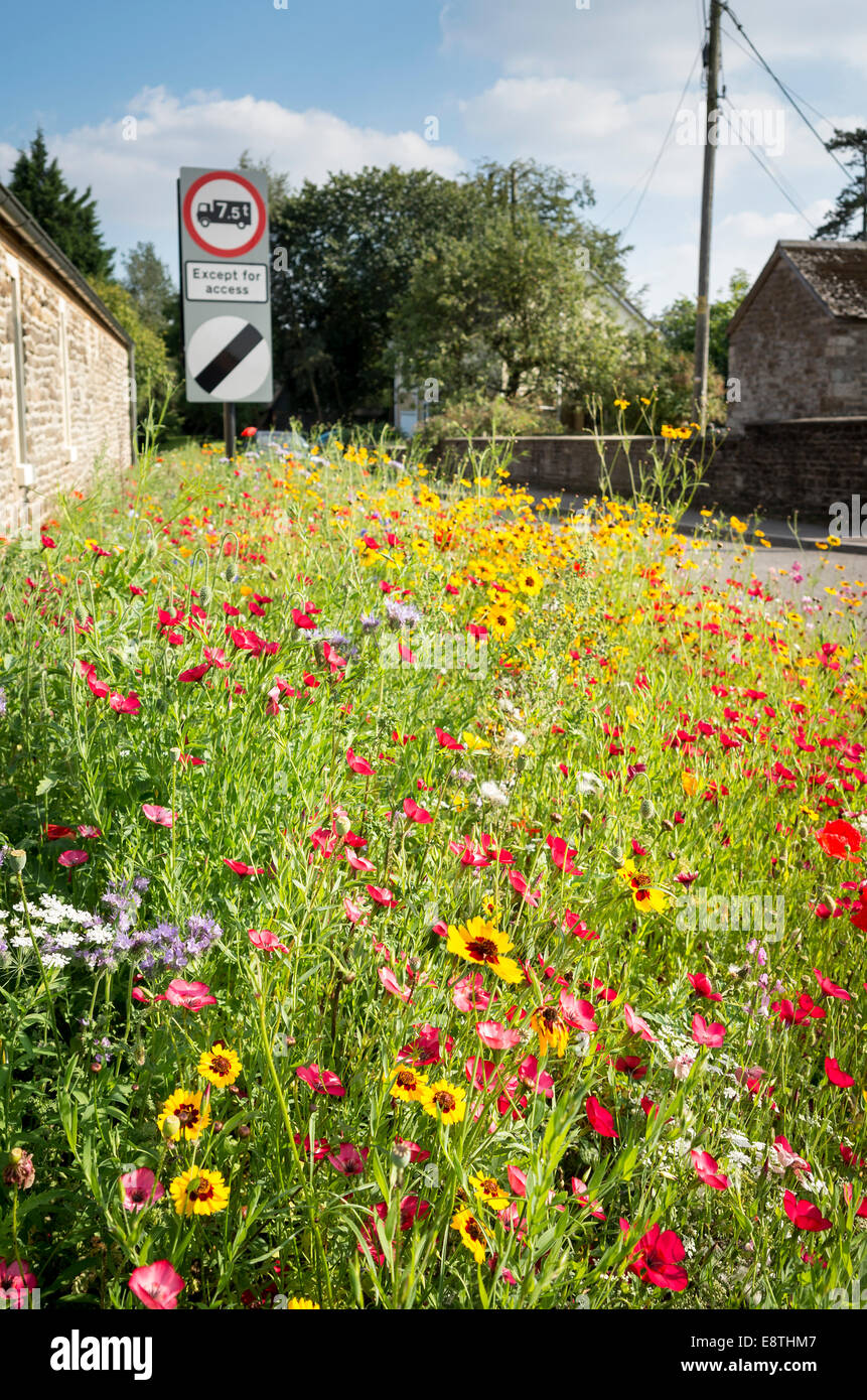 Roadside wild flowers hi-res stock photography and images - Alamy
