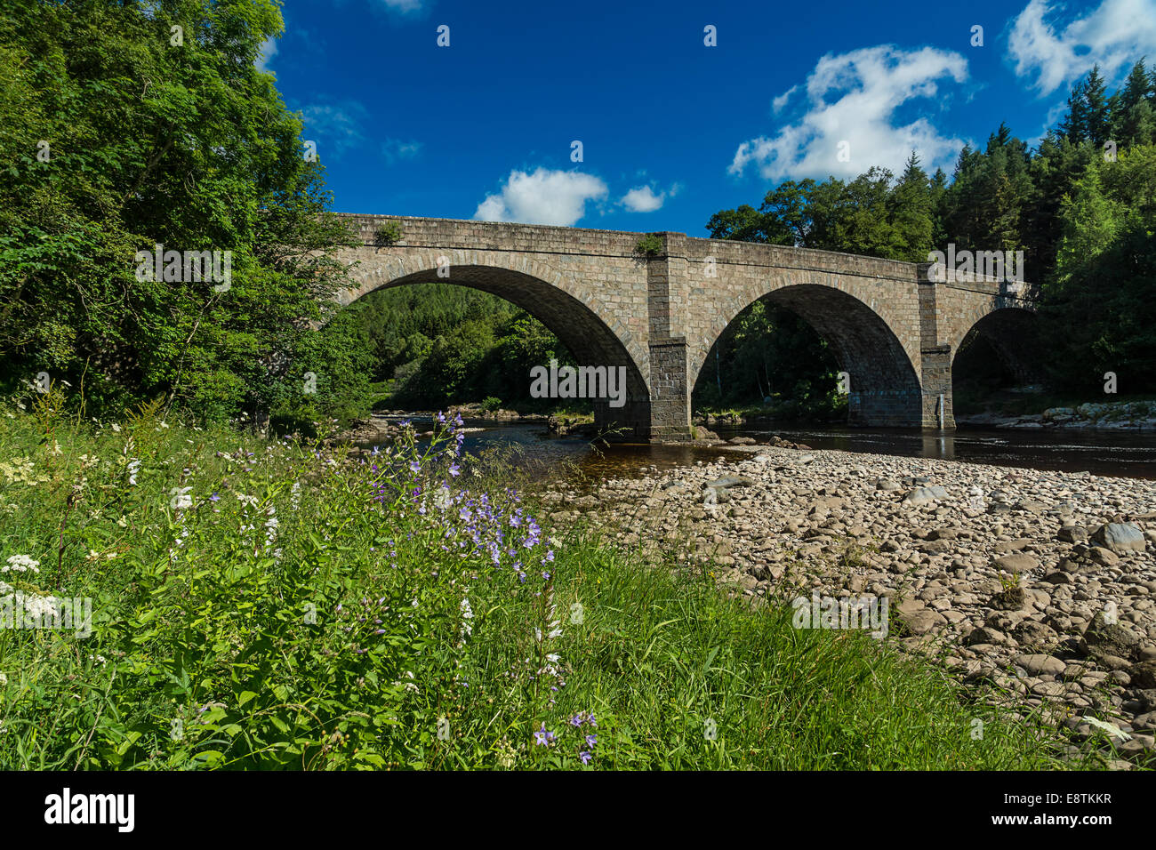 Potarch Bridge and Wild Flowers Stock Photo - Alamy