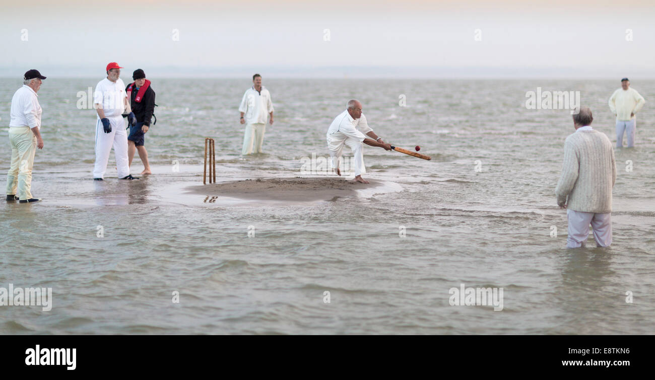 Action during the annual Brambles cricket match between members of the ...