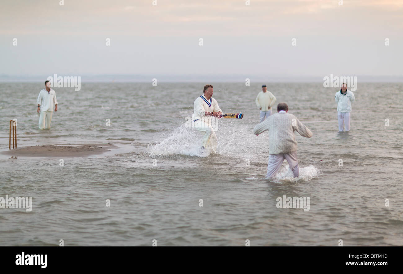 Action during the annual Brambles cricket match between members of the ...