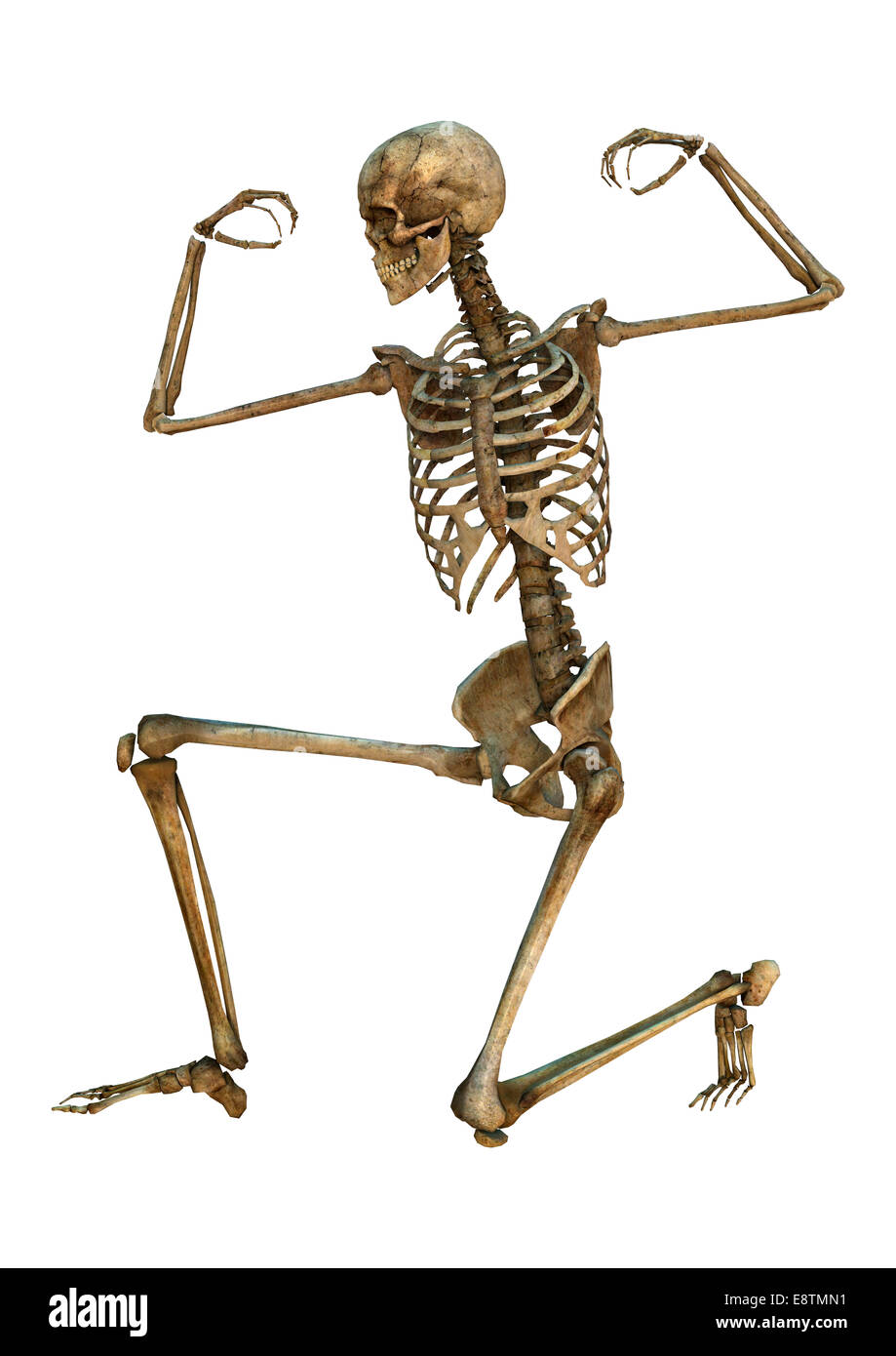 3D digital render of an exercising old human skeleton isolated on white ...