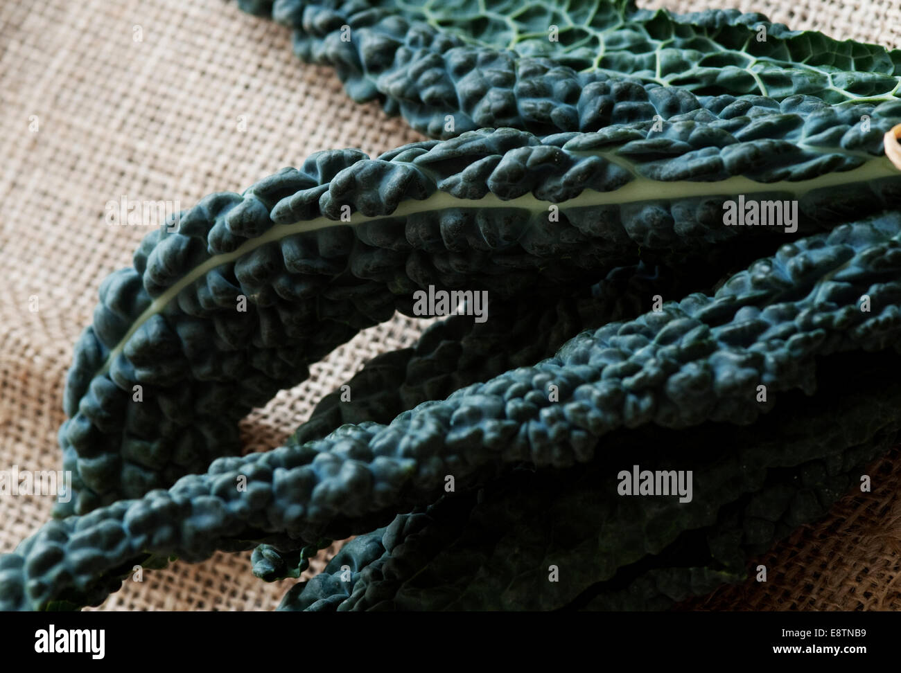 Still life food image of Cavolo Nero Stock Photo - Alamy