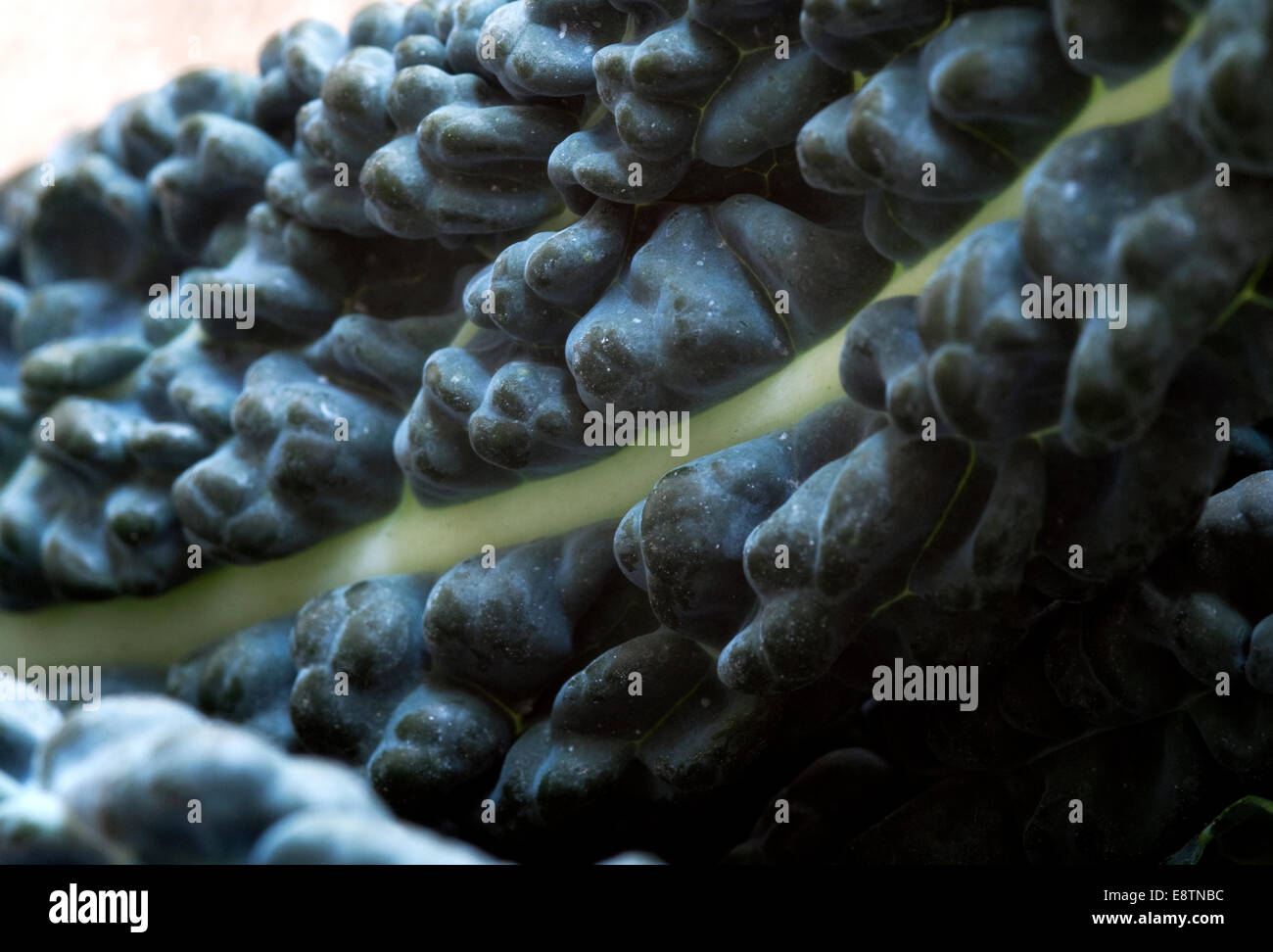 Still life food image of Cavolo Nero Stock Photo - Alamy