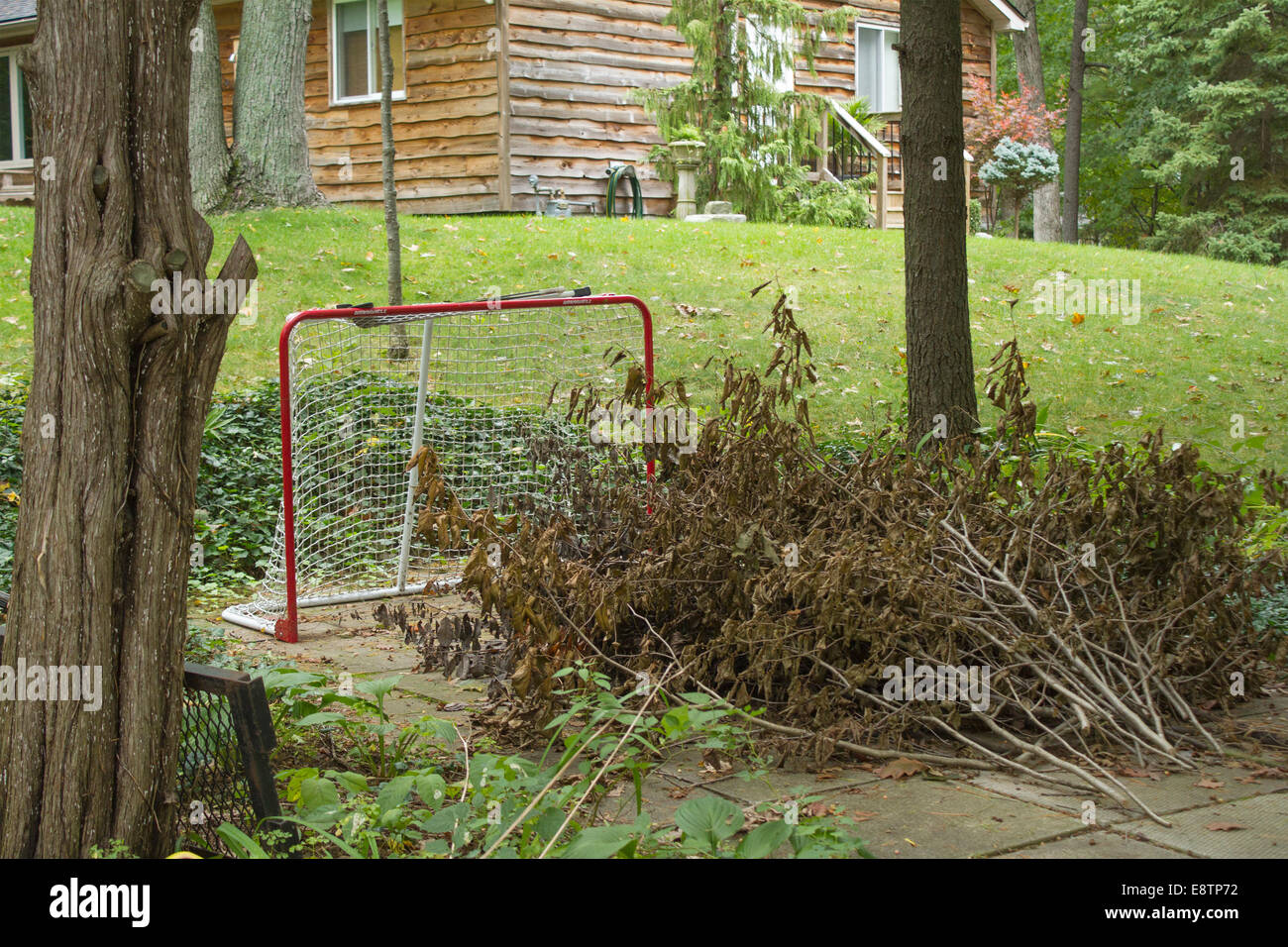 Pile of leaves hi-res stock photography and images - Alamy