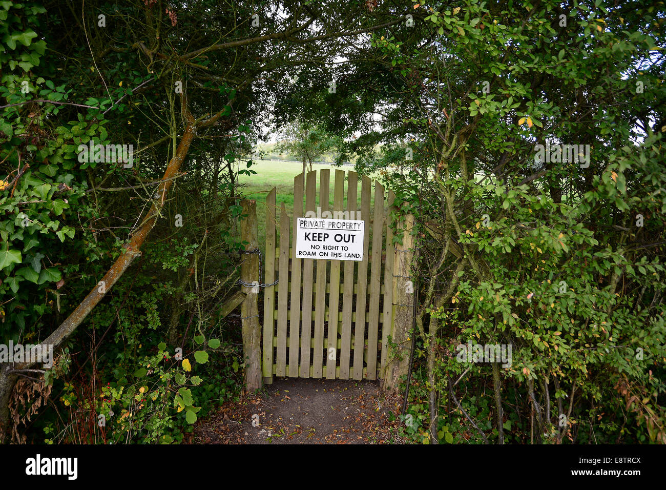 Roam the countryside hi-res stock photography and images - Alamy