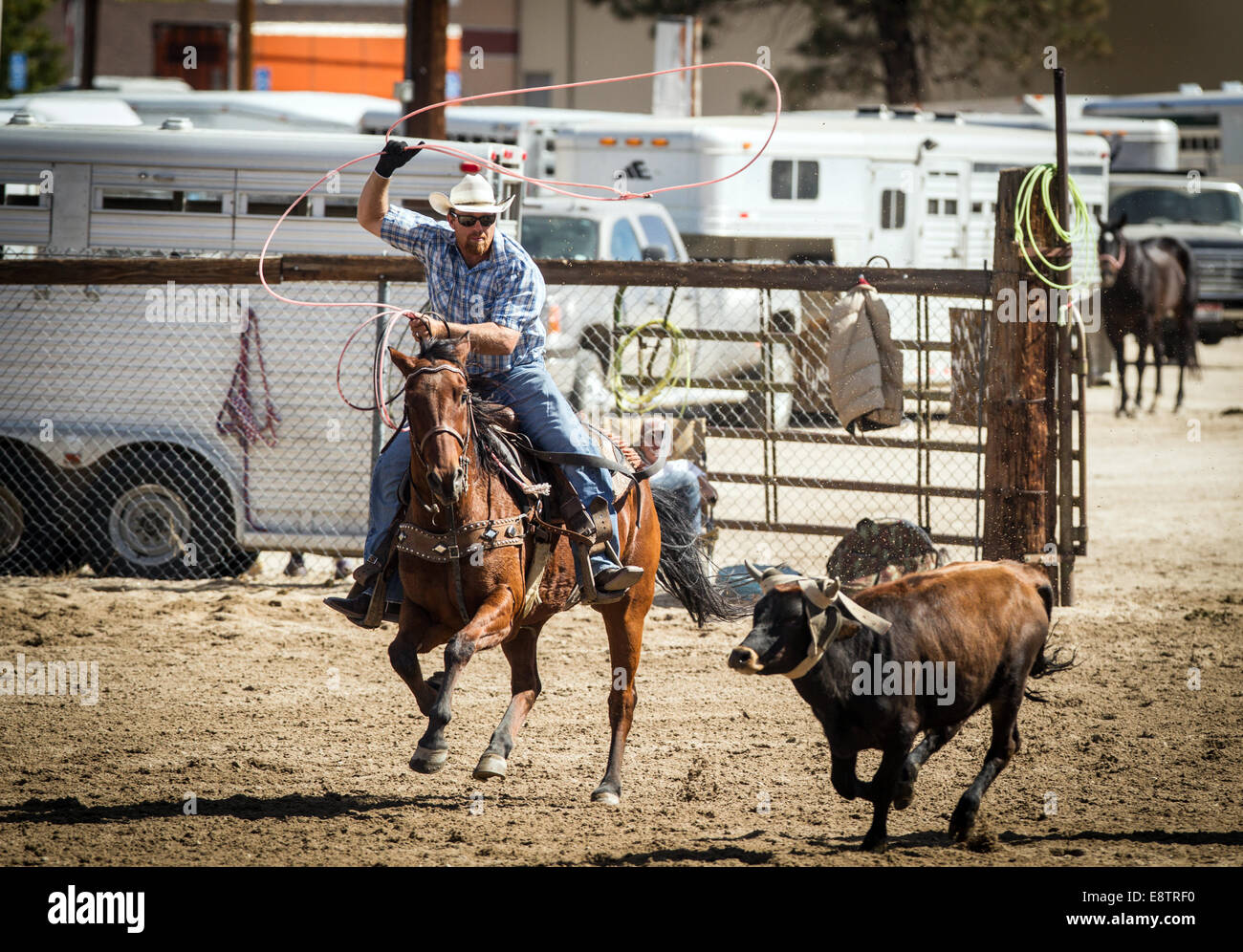 Rodeo action pictures hi-res stock photography and images - Alamy