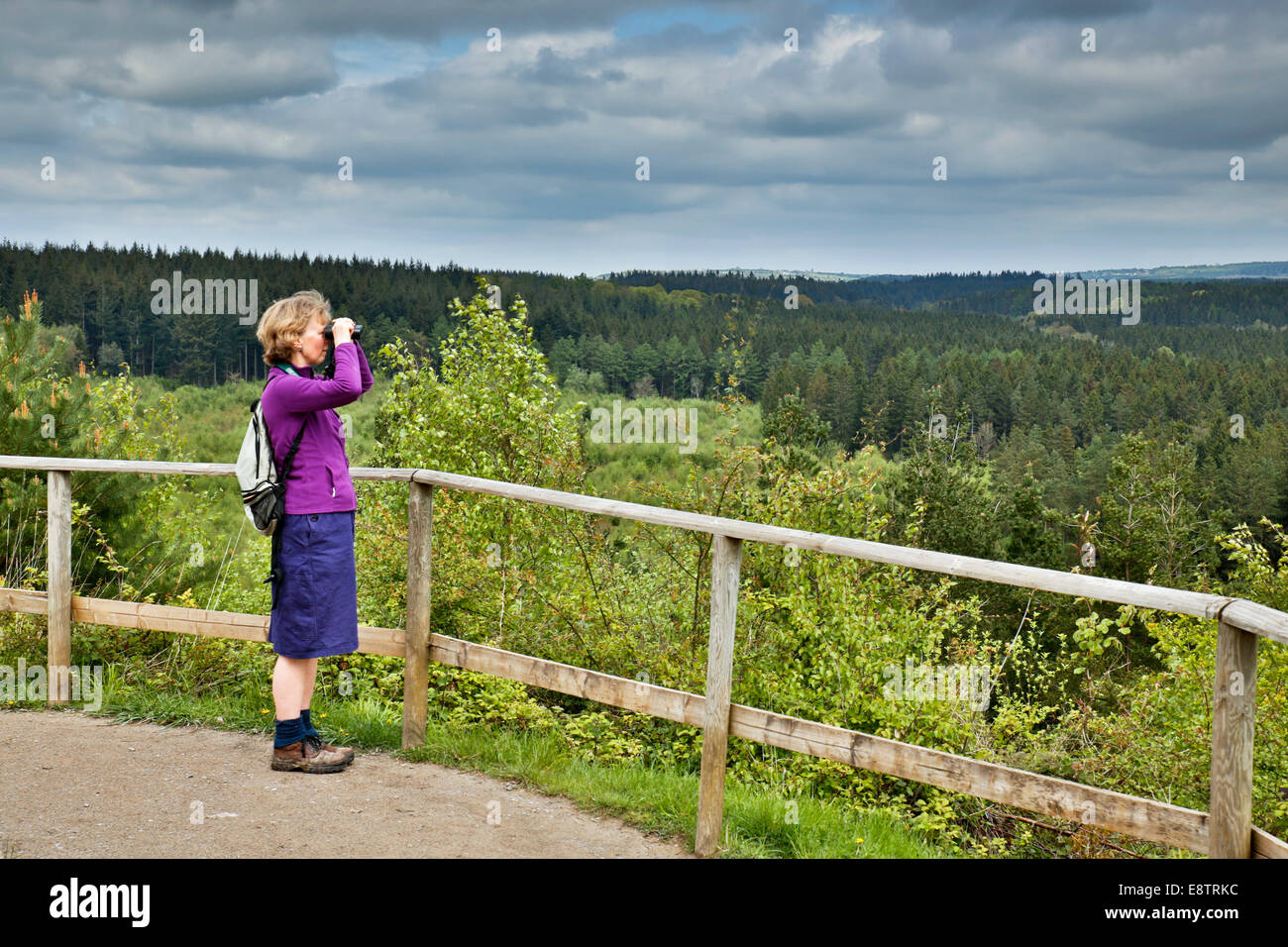 New Fancy Viewpoint; Forest of Dean; UK Stock Photo - Alamy
