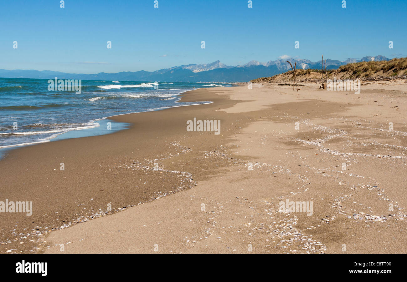 Tuscany deserted sand beach, Italy Stock Photo - Alamy
