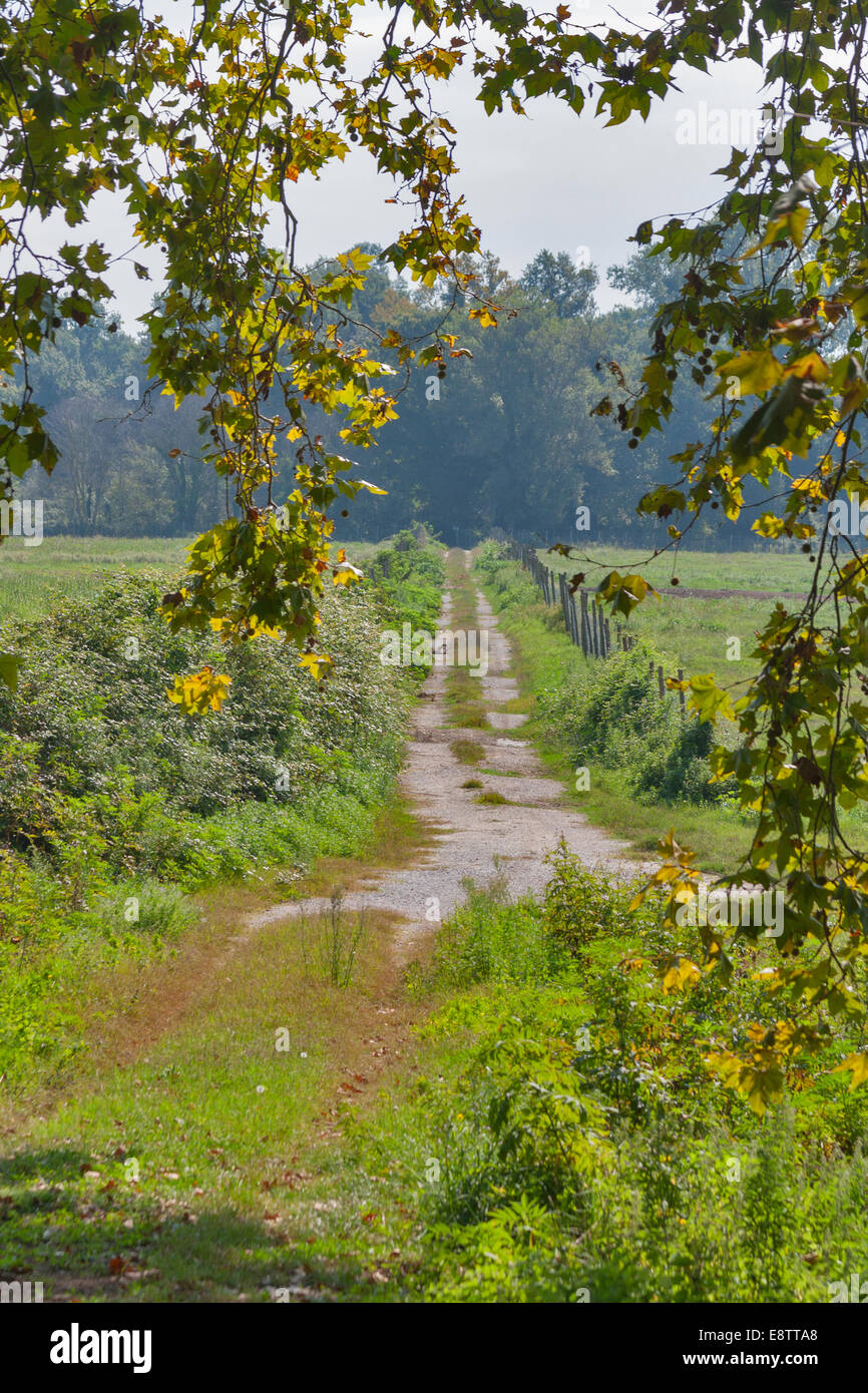 Tuscany autumn landscape with country road. Italy Stock Photo - Alamy