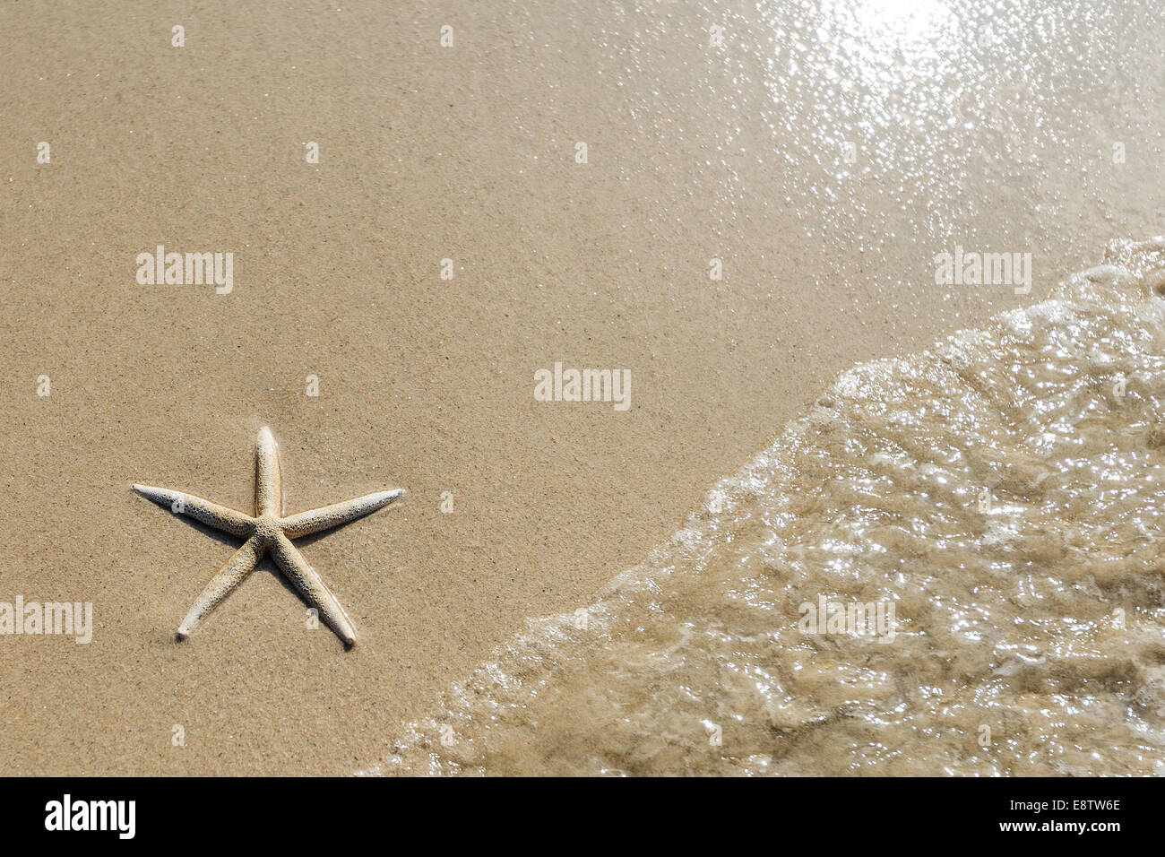 Overhead view of a starfish and wave on a smooth background of sand ...