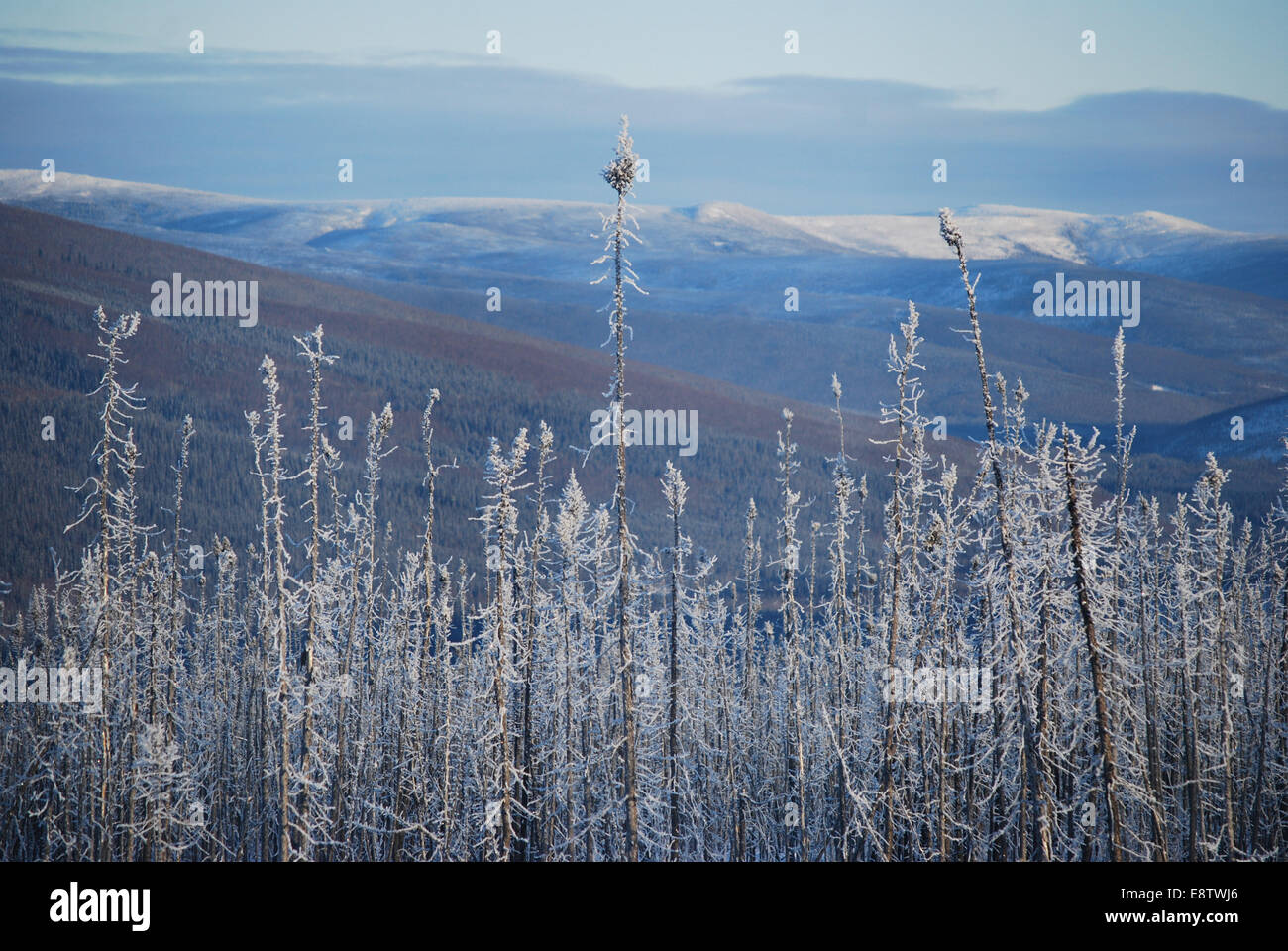 Research observatory alaska hi-res stock photography and images - Alamy