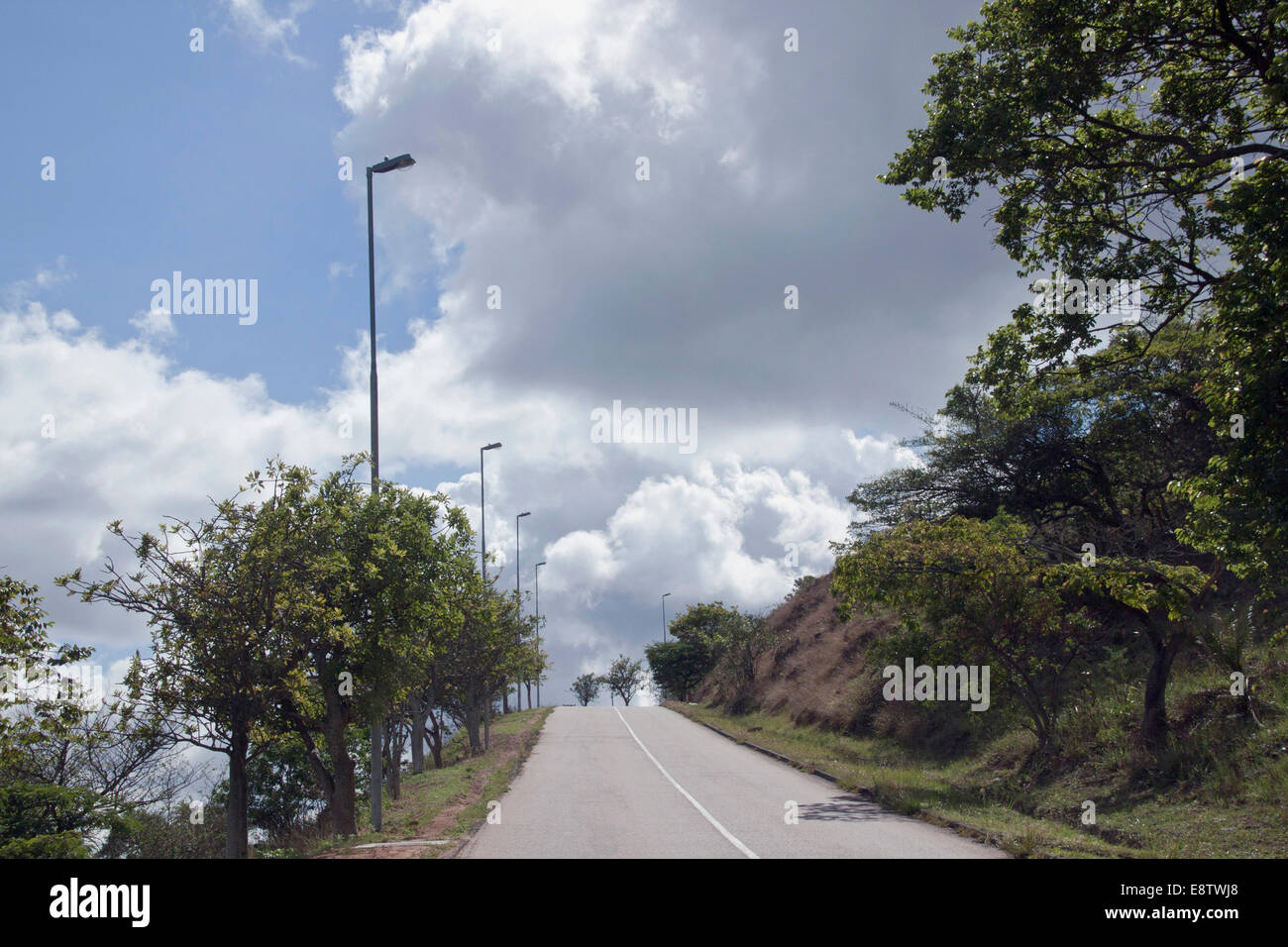 Empty tree lined steep tarmac road with heavy cloudy sky Stock Photo ...