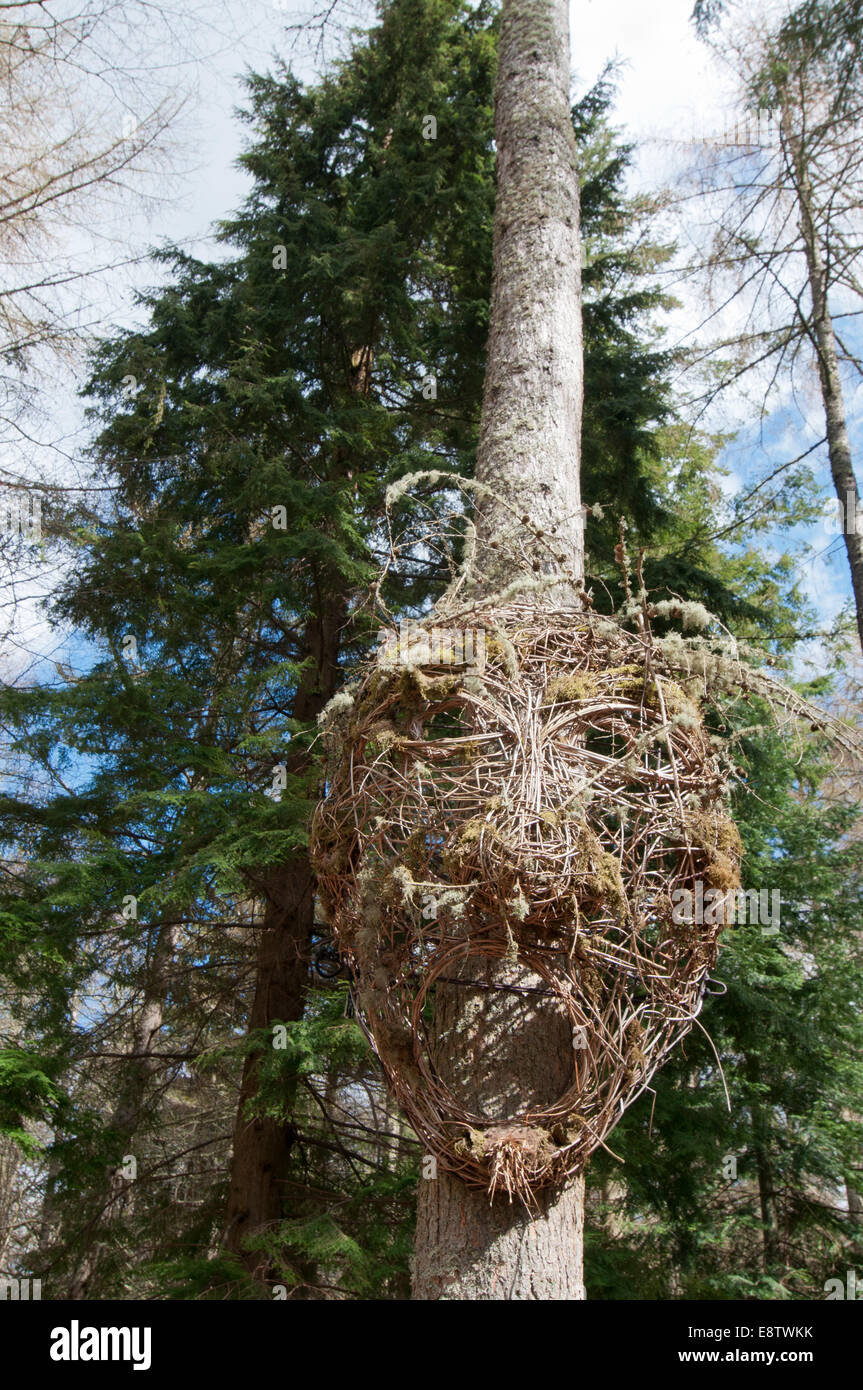 Giants in the Woodland sculptures at Bowhill, Selkirk Stock Photo - Alamy