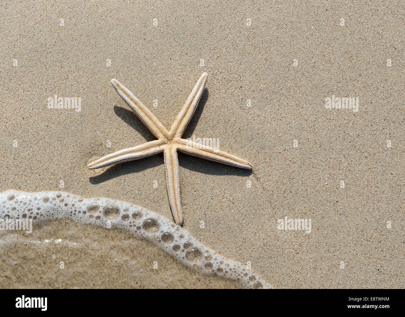 Overhead view of a starfish and wave on a smooth background of sand ...