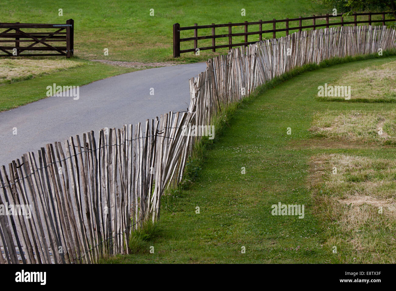 English country road Stock Photo - Alamy