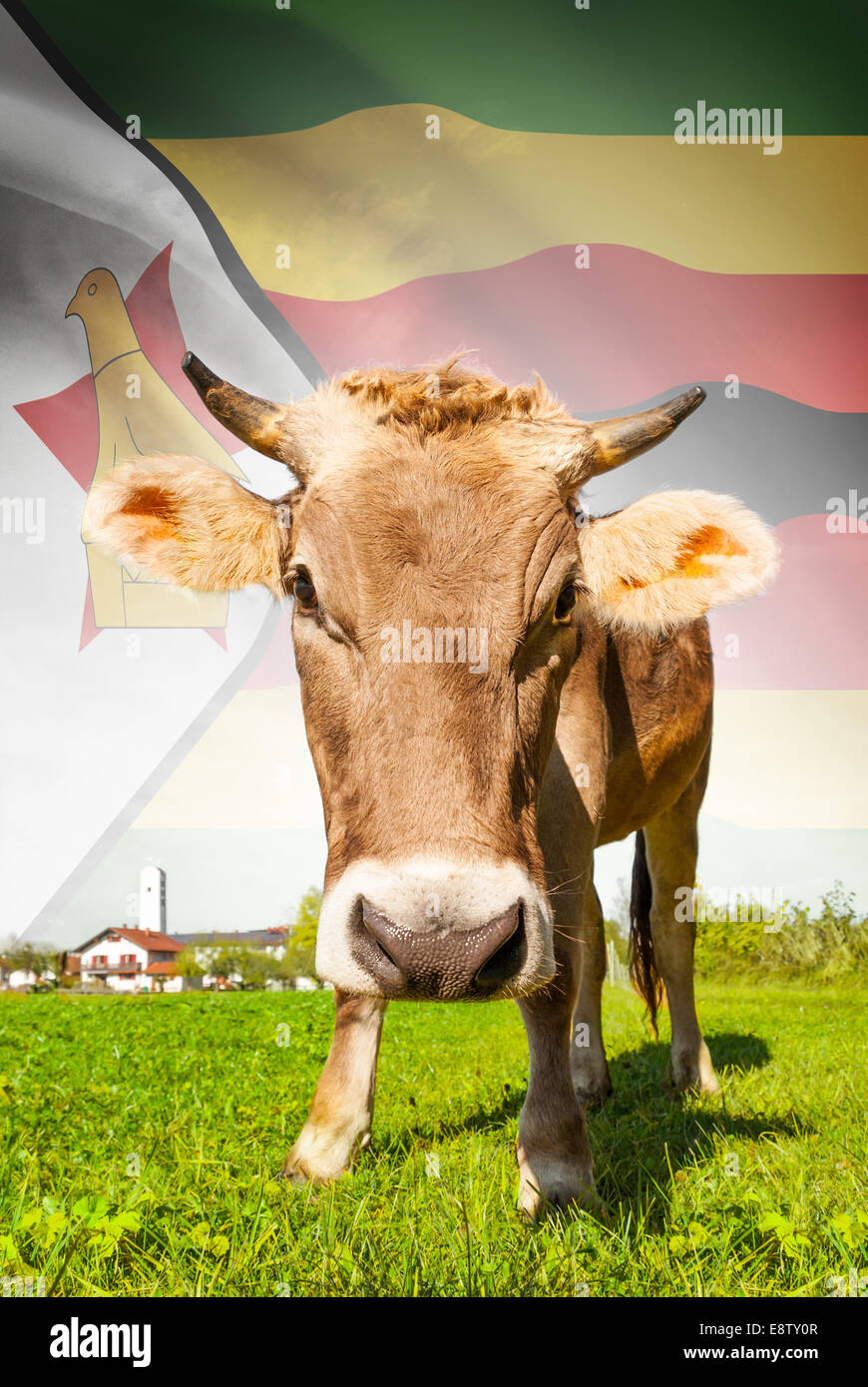 Zimbabwe Farm Stock Photos & Zimbabwe Farm Stock Images - Alamy