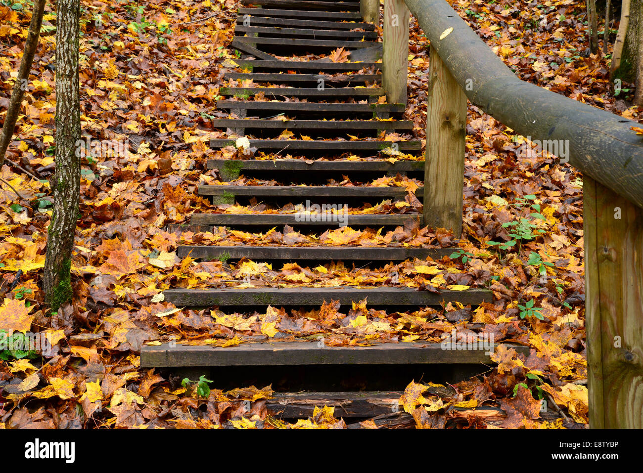 Outdoor wooden stairs hi-res stock photography and images - Alamy