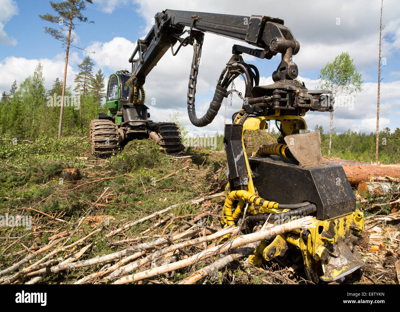 Contemporary feller cutter hi-res stock photography and images - Alamy