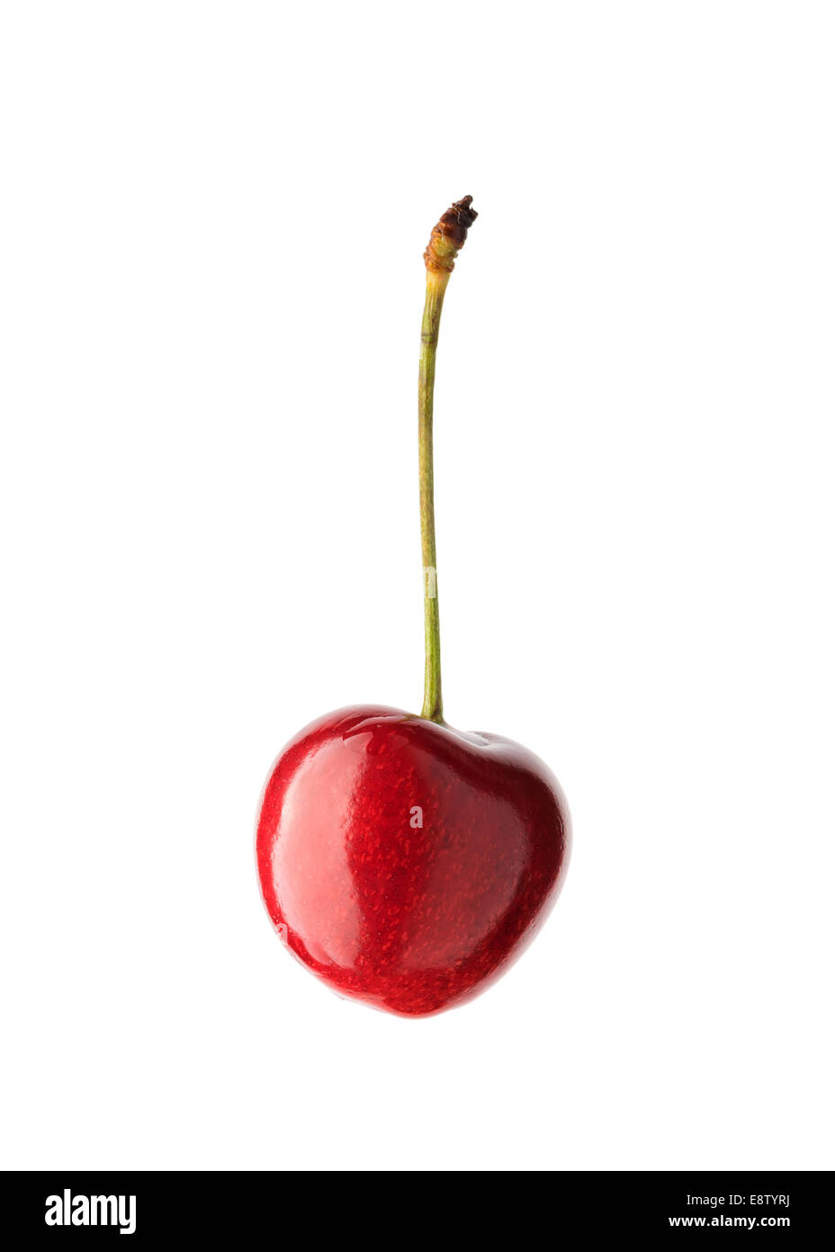 Cherry isolated on white background Stock Photo - Alamy