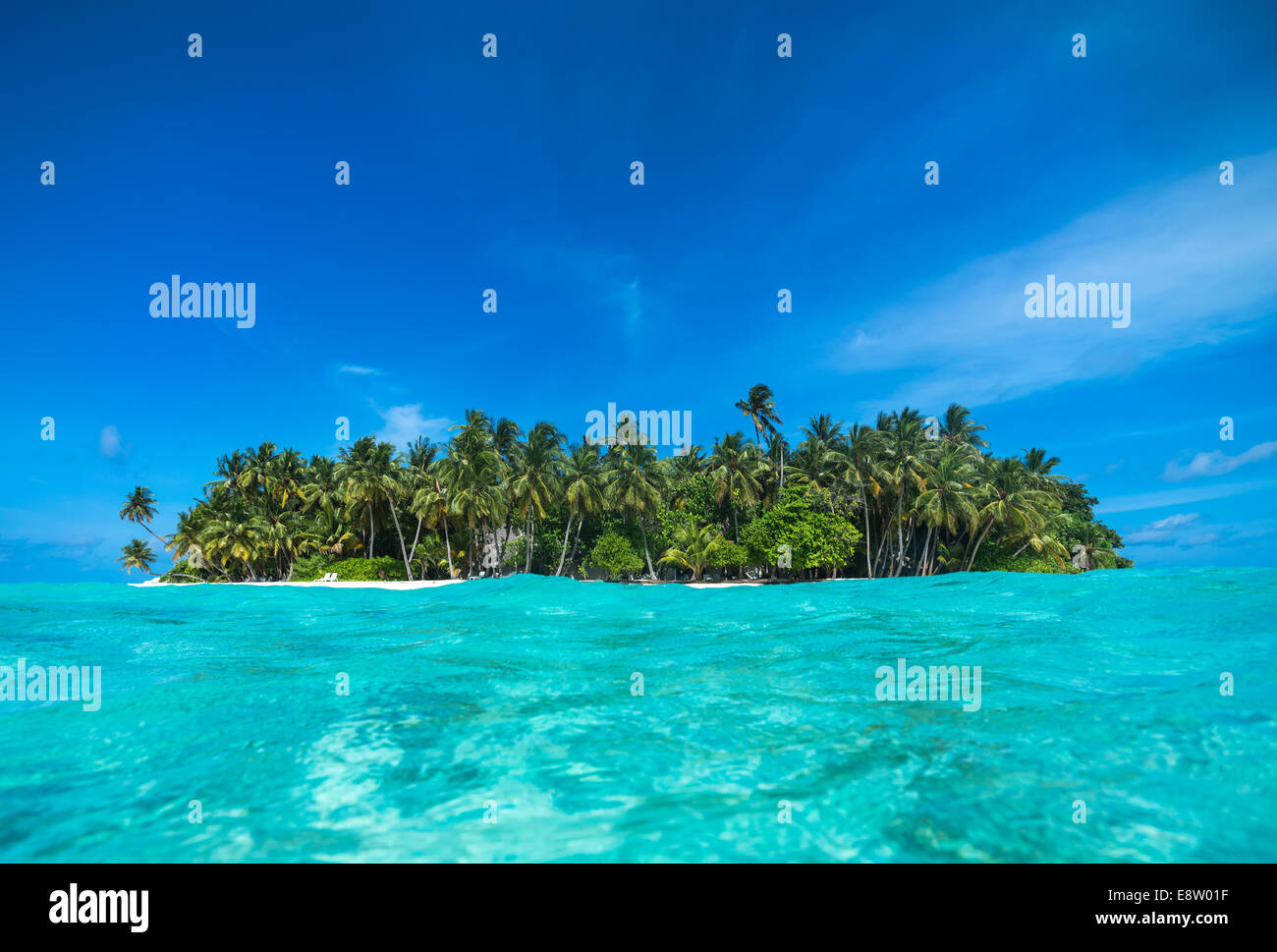Perfect tropical island paradise beach Maldives Stock Photo - Alamy