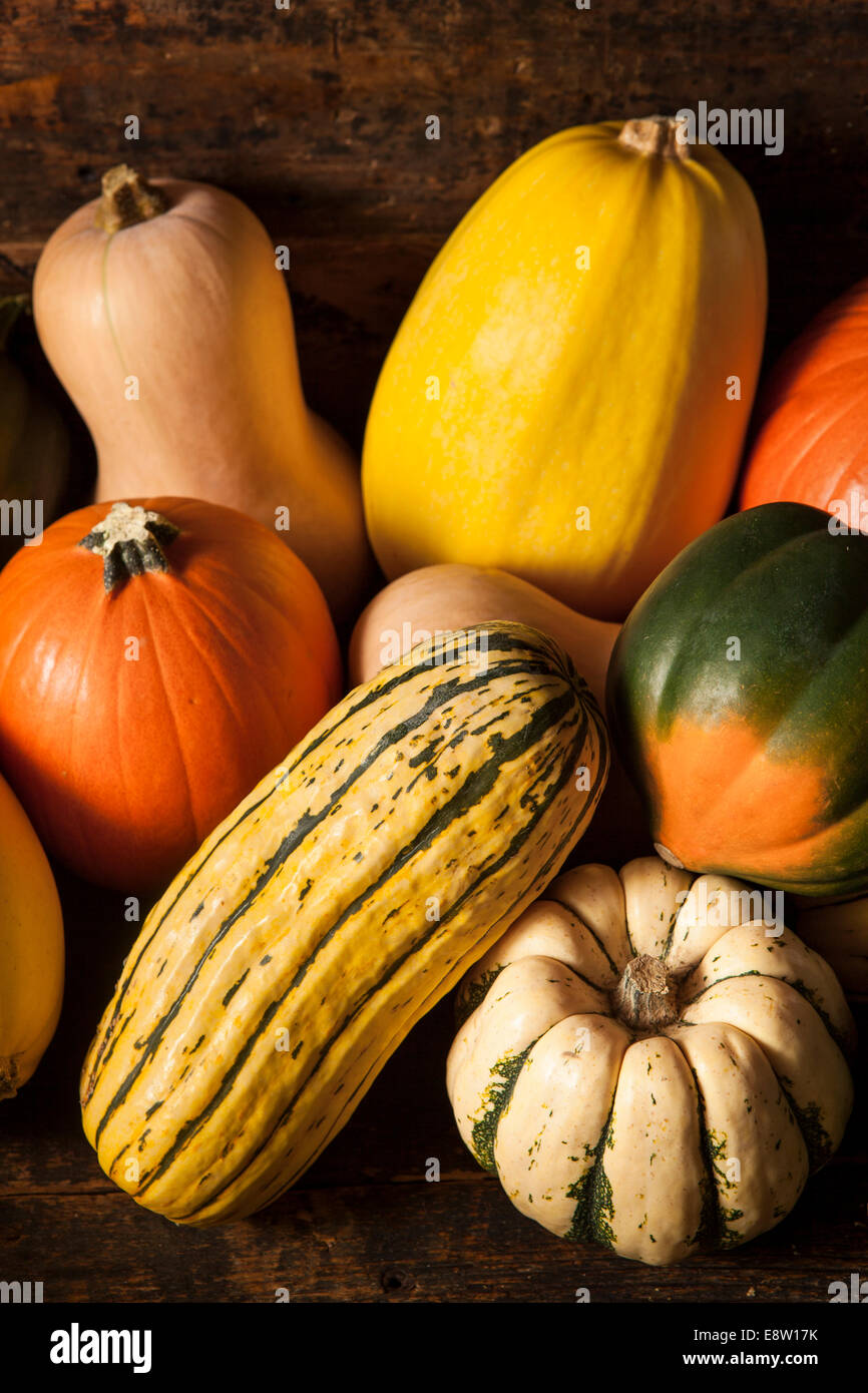 Organic Assorted Autumn Squash on a Background Stock Photo - Alamy