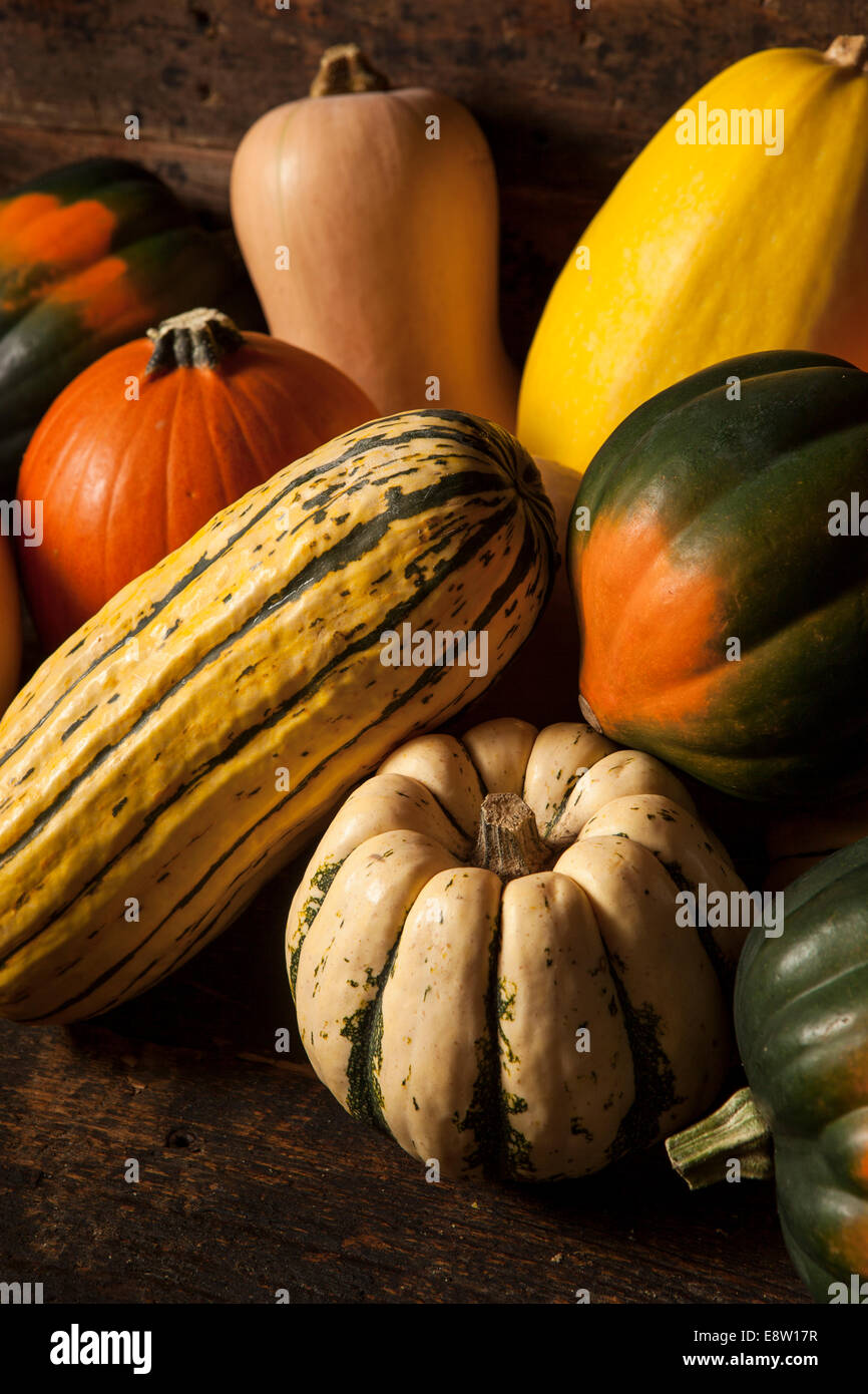 Organic Assorted Autumn Squash on a Background Stock Photo - Alamy