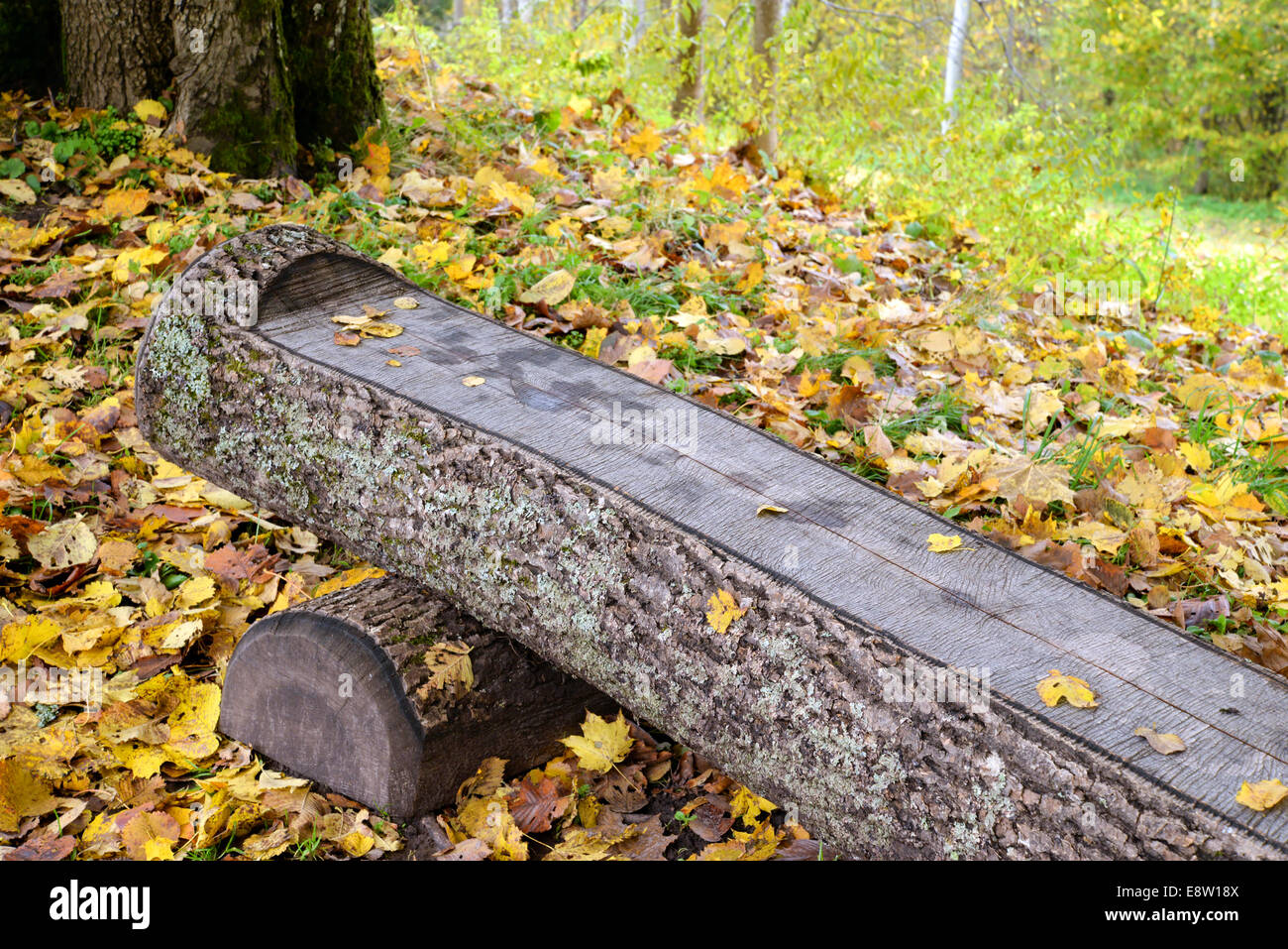 Wooden log bench hi-res stock photography and images - Alamy