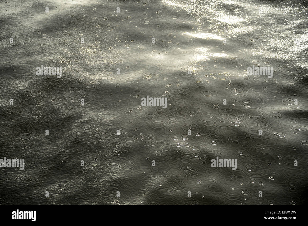 water surface with rain drops Stock Photo - Alamy