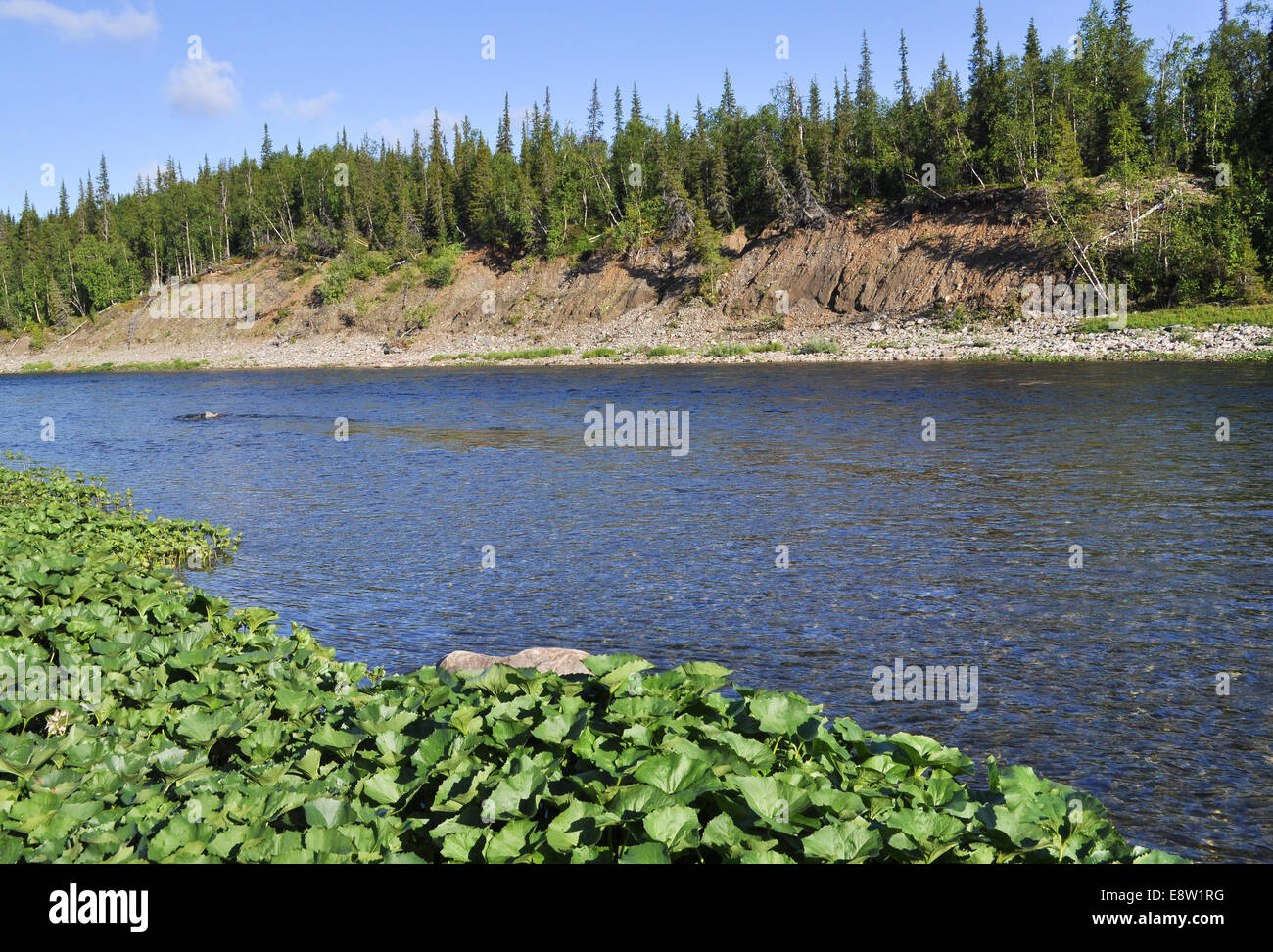 Solar landscape to the North of the Ural river. Polar Ural, Komi ...