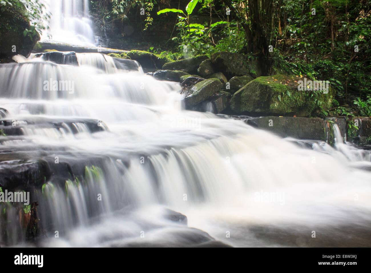 rainforest waterfall and rocks covered with moss Stock Photo - Alamy