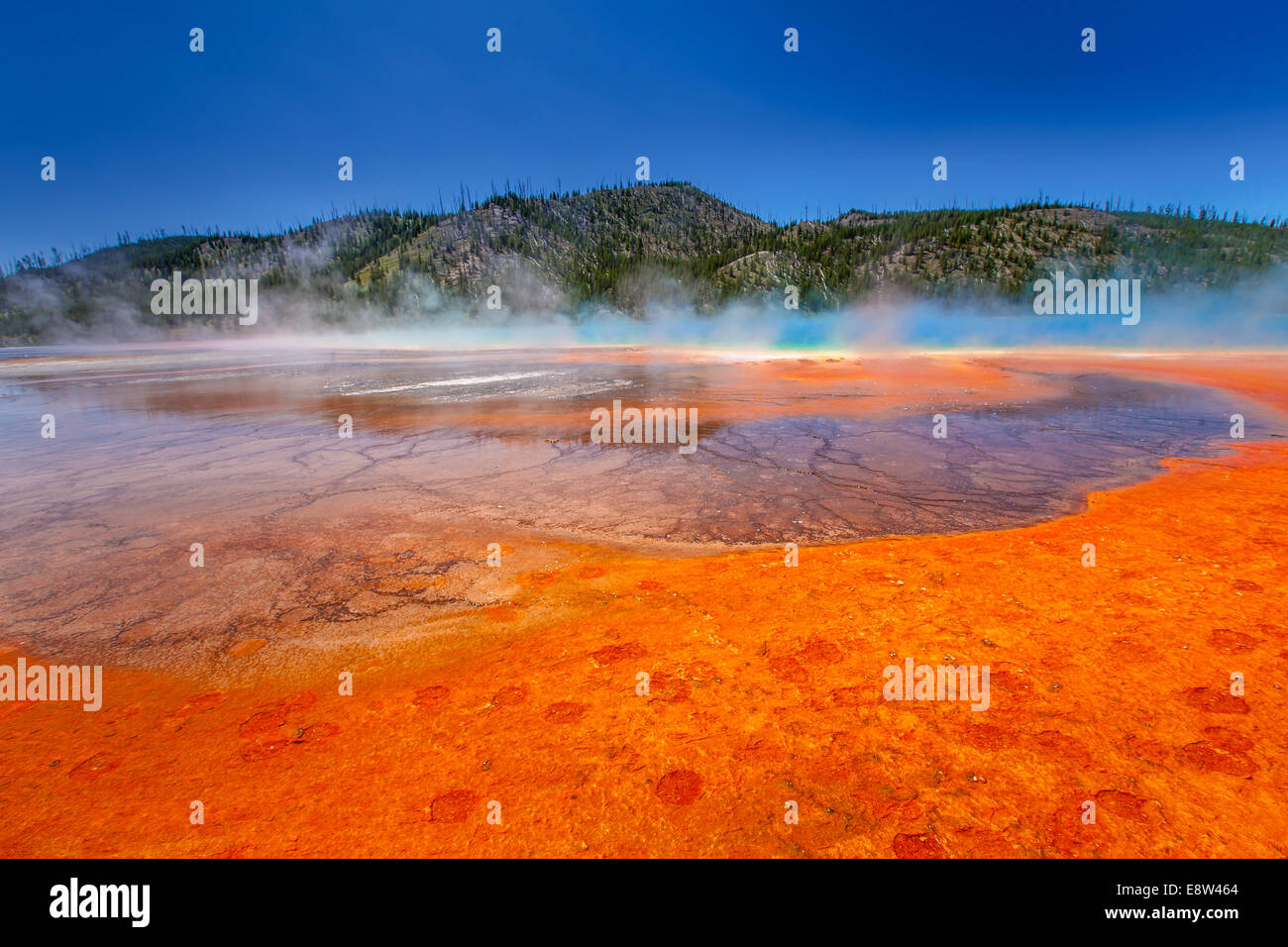 Grand Prismatic Spring Stock Photo - Alamy