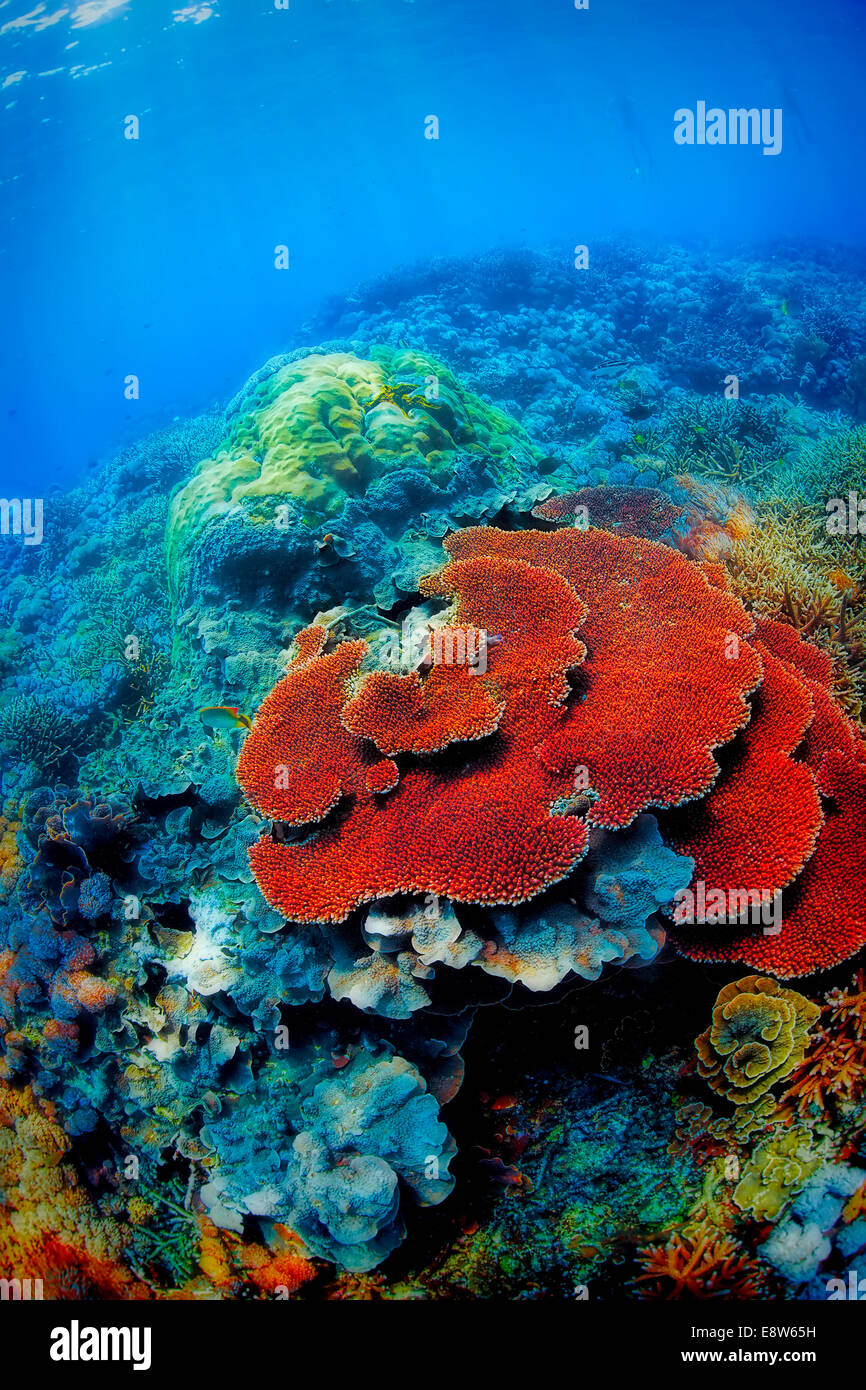 Wallpaper abyss hi-res stock photography and images - Alamy