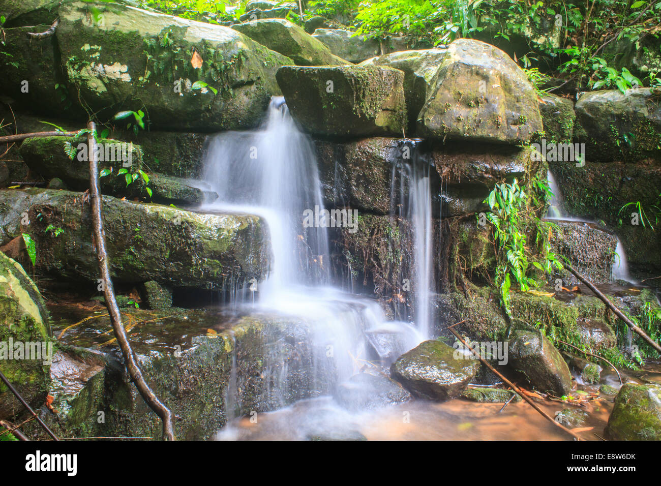 rainforest waterfall and rocks covered with moss Stock Photo - Alamy