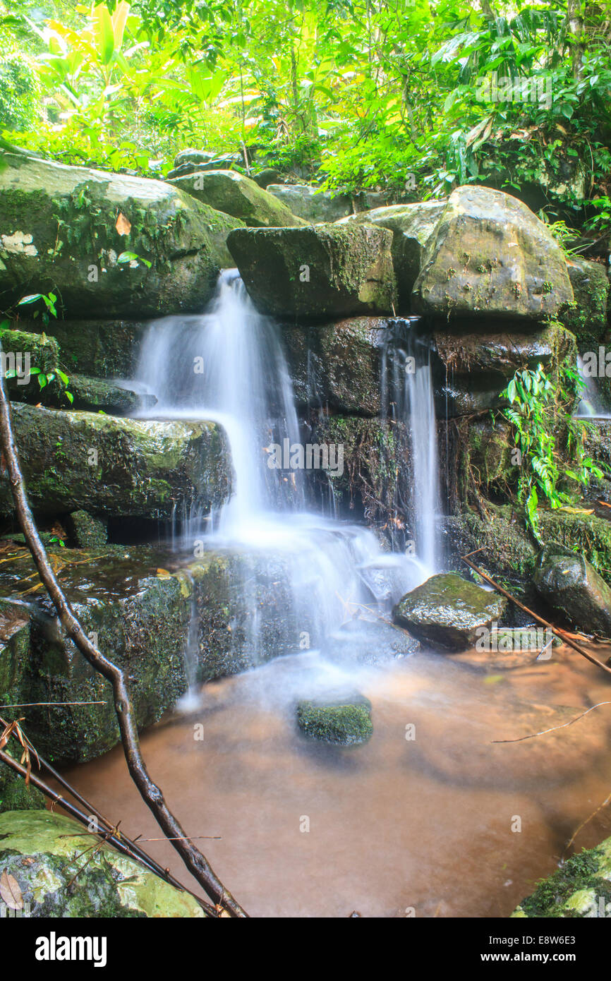 rainforest waterfall and rocks covered with moss Stock Photo - Alamy