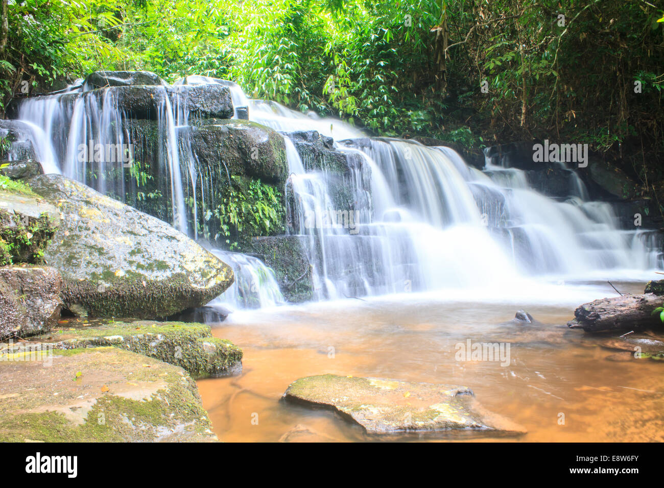 rainforest waterfall and rocks covered with moss Stock Photo - Alamy