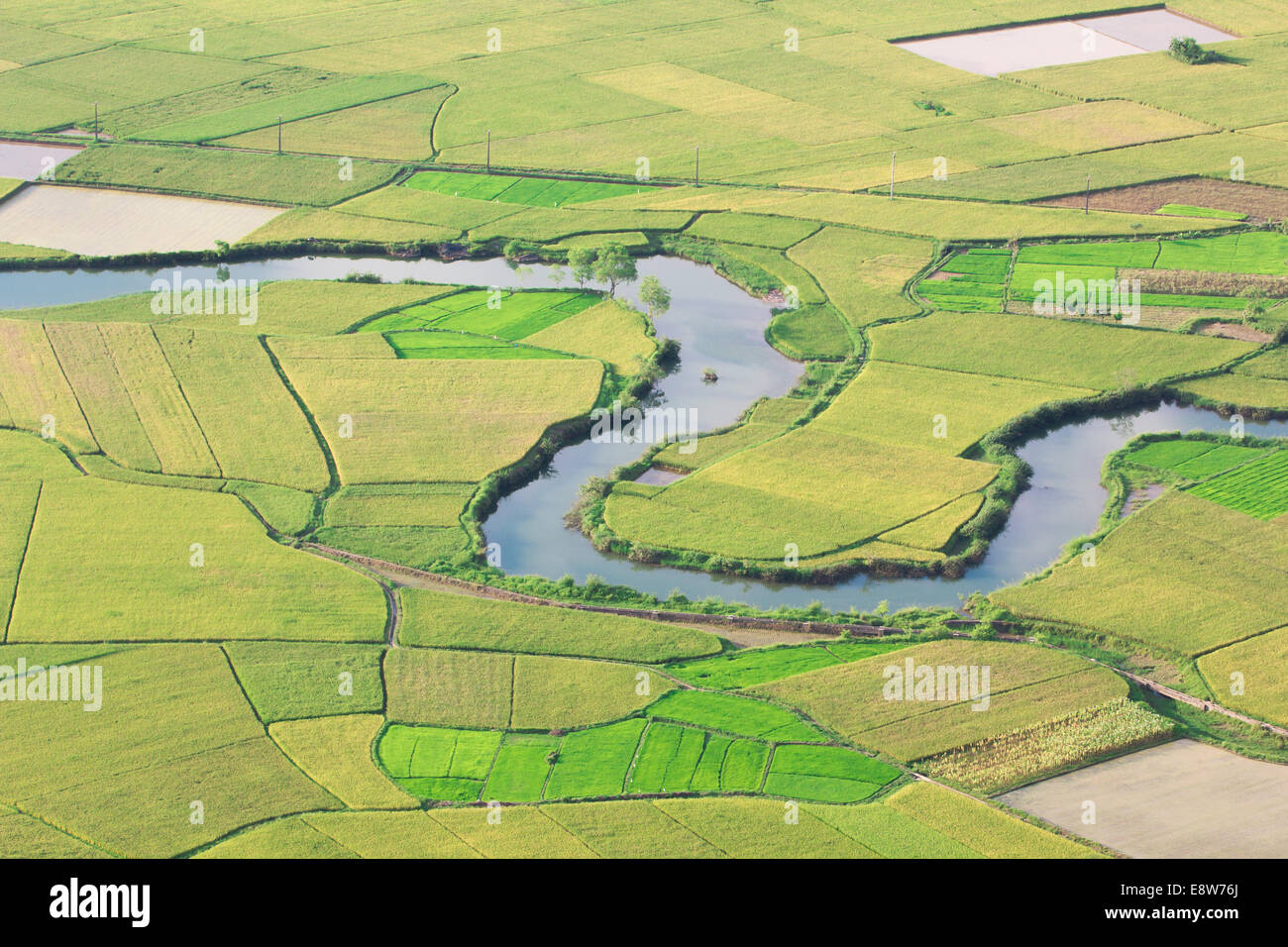Bac son rice paddy hi-res stock photography and images - Alamy