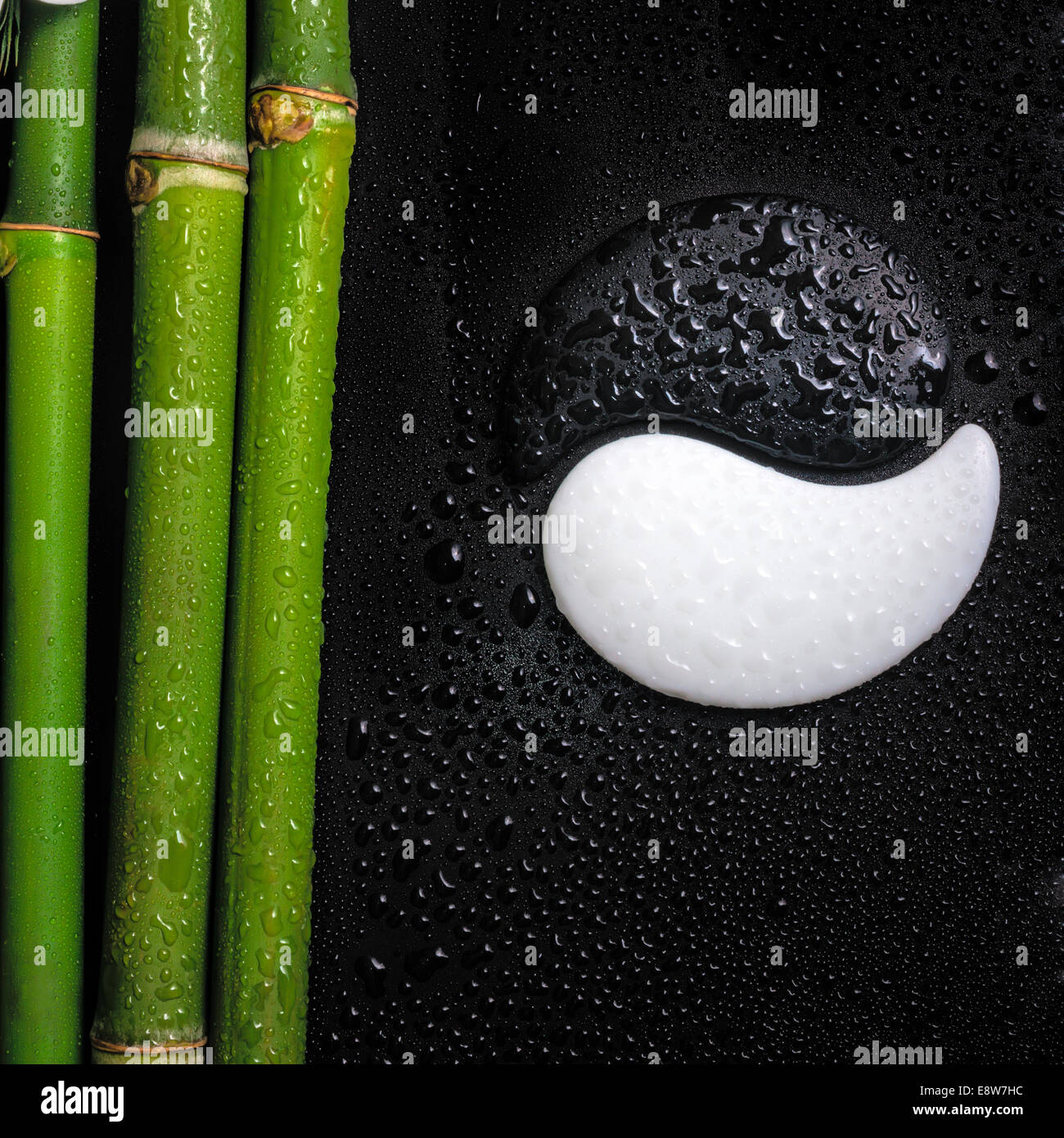 beautiful spa still life of symbol Yin Yang and natural bamboo stems ...