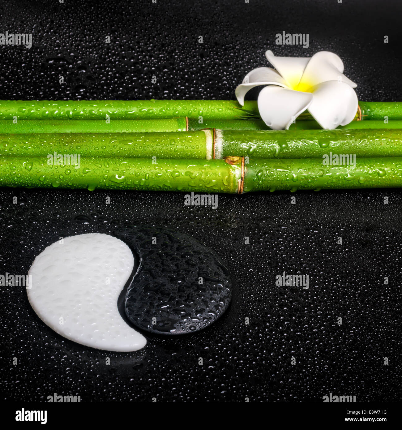beautiful spa still life of symbol Yin Yang, frangipani flower and ...