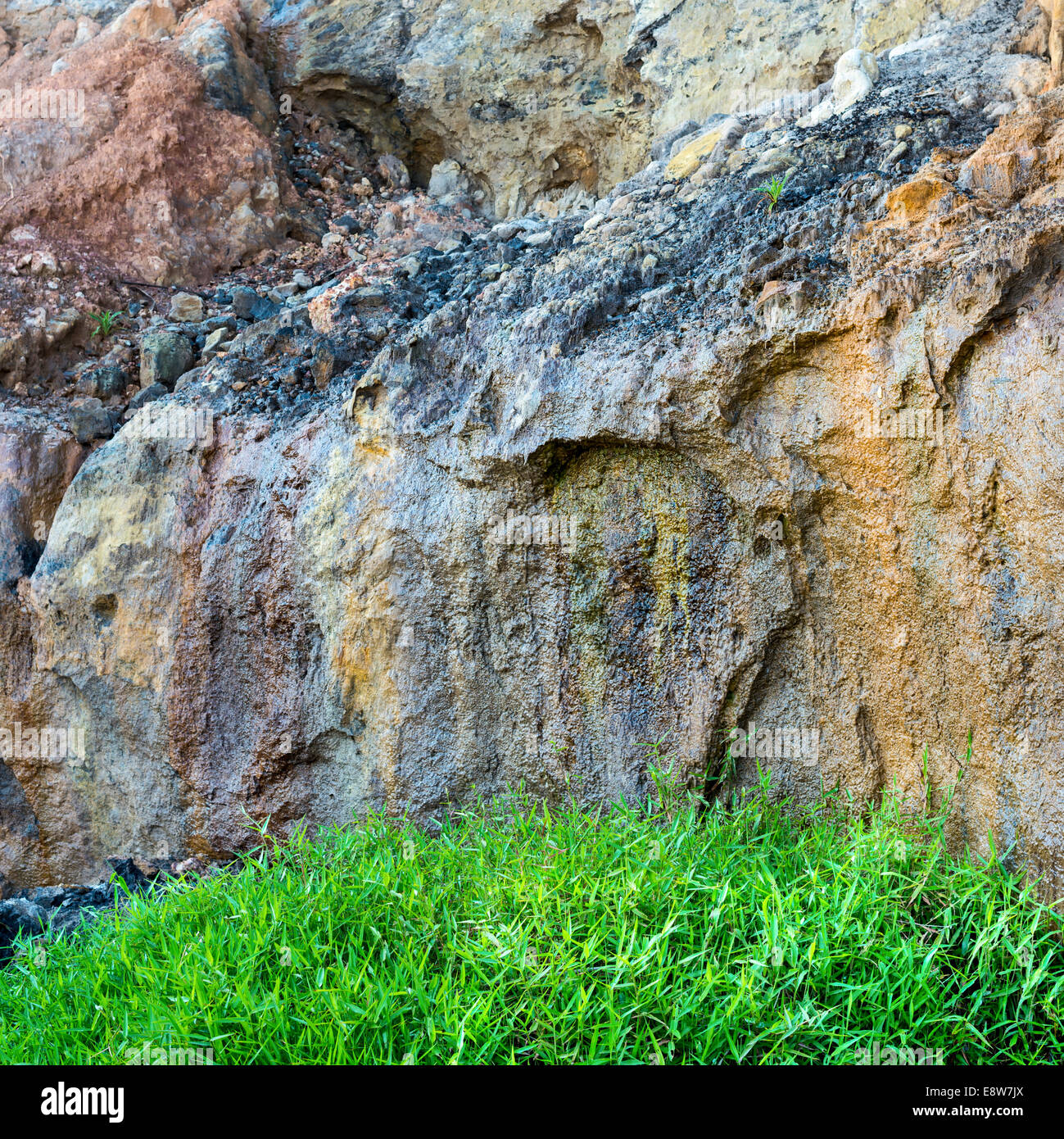 Grass on rock hi-res stock photography and images - Alamy