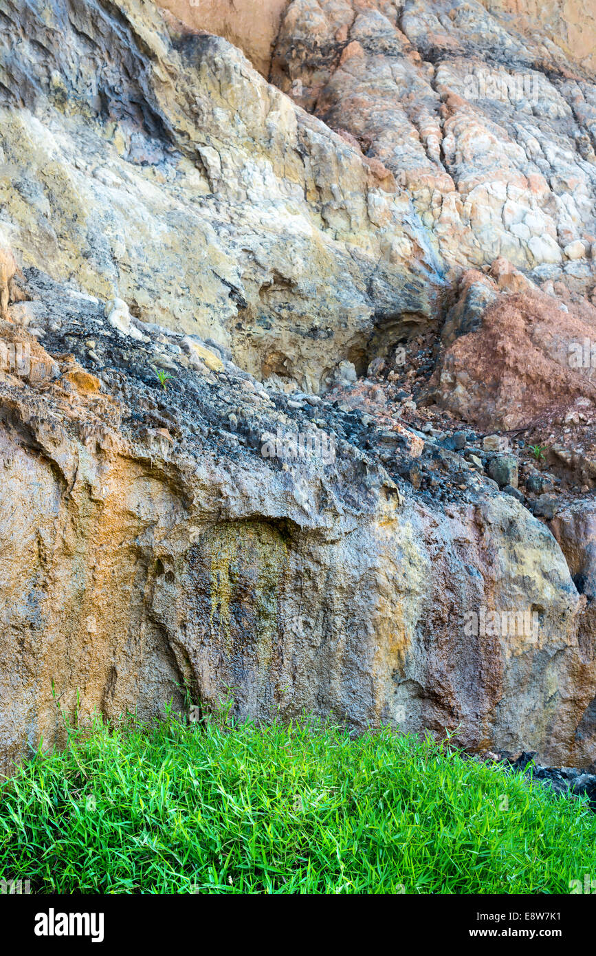 Grass on rock hi-res stock photography and images - Alamy